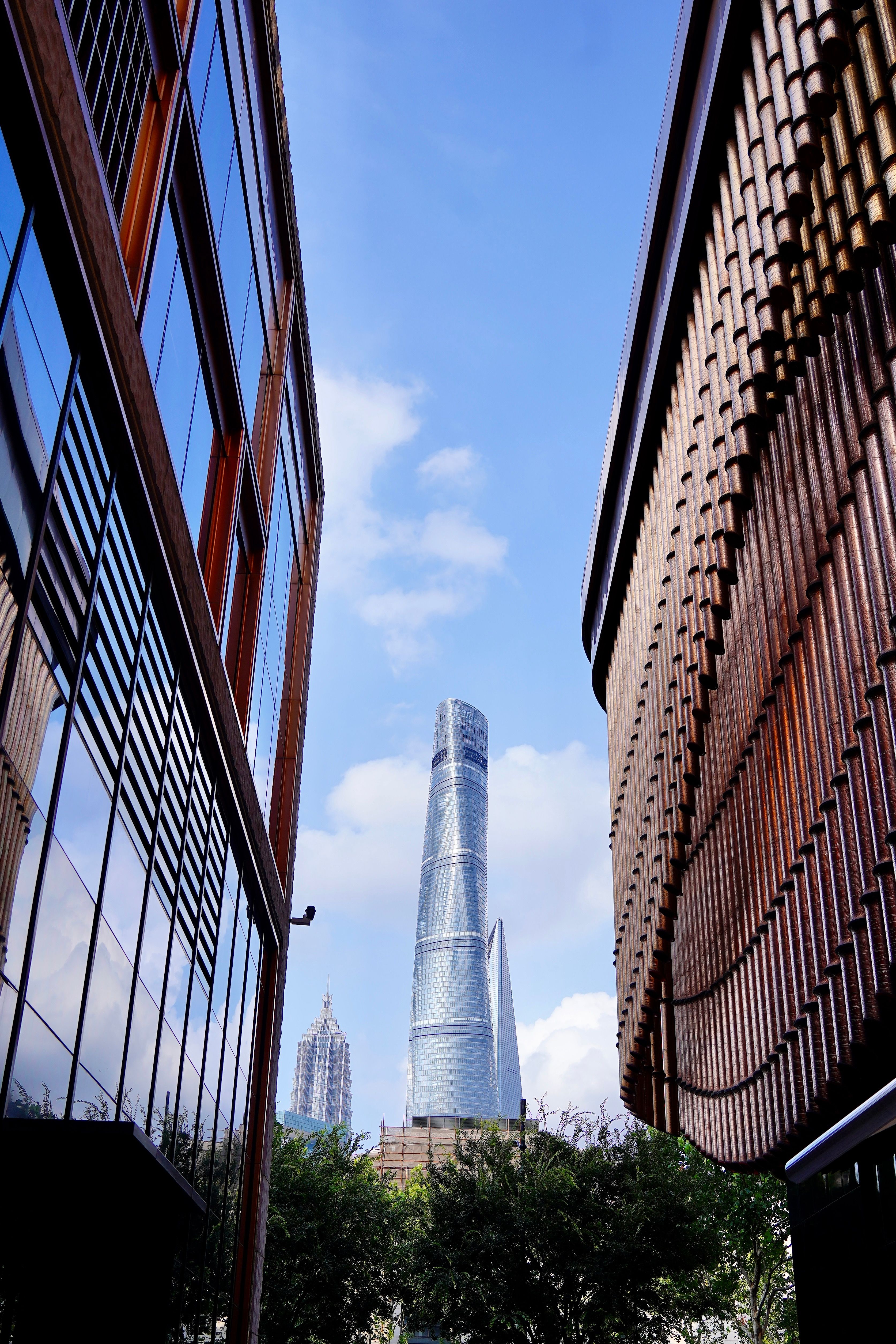 Torre De Shanghái Enmarcada Por Edificios De Arquitectura Moderna ...