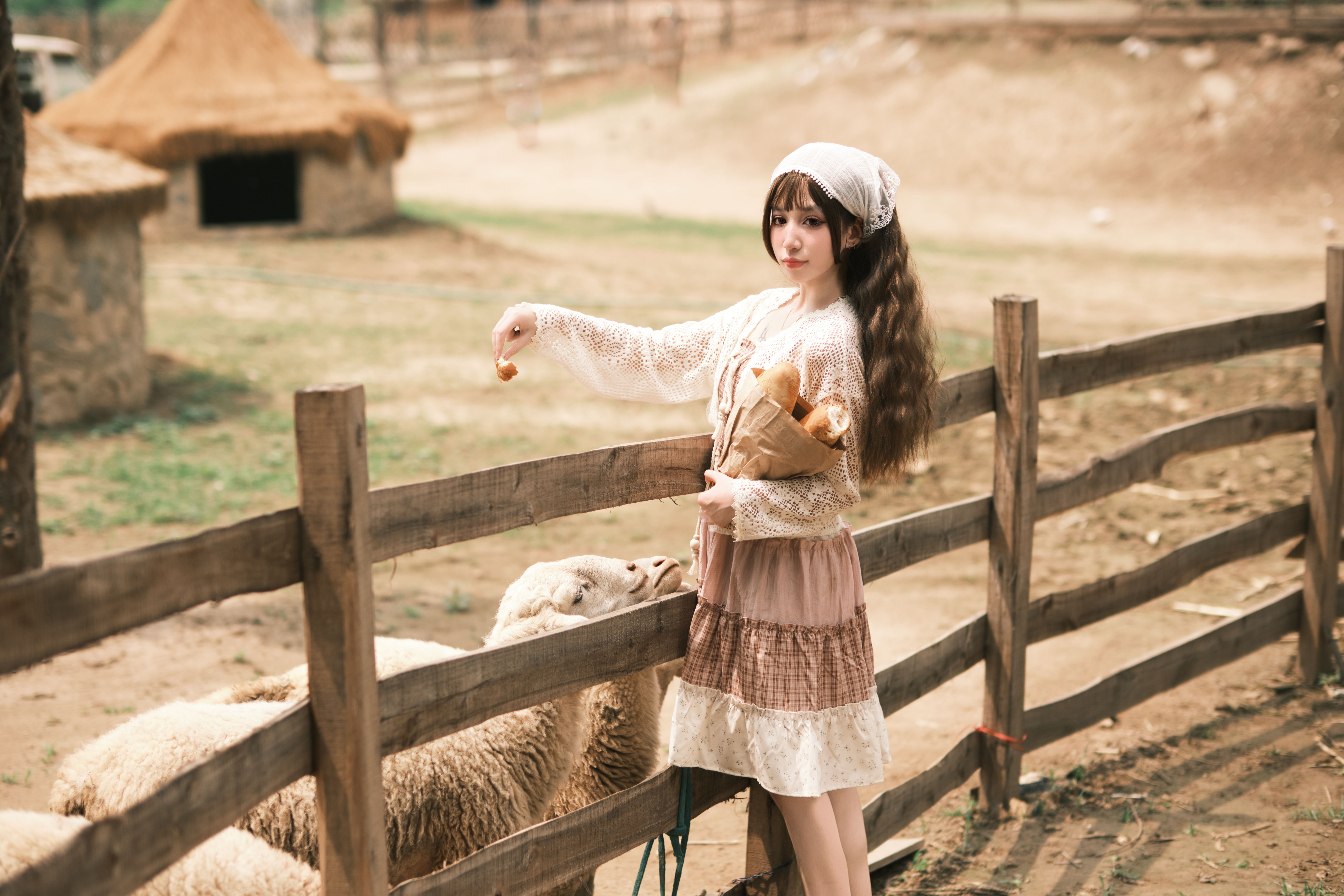 Anime Animals Photos, Download The BEST Free Anime Animals Stock Photos ...