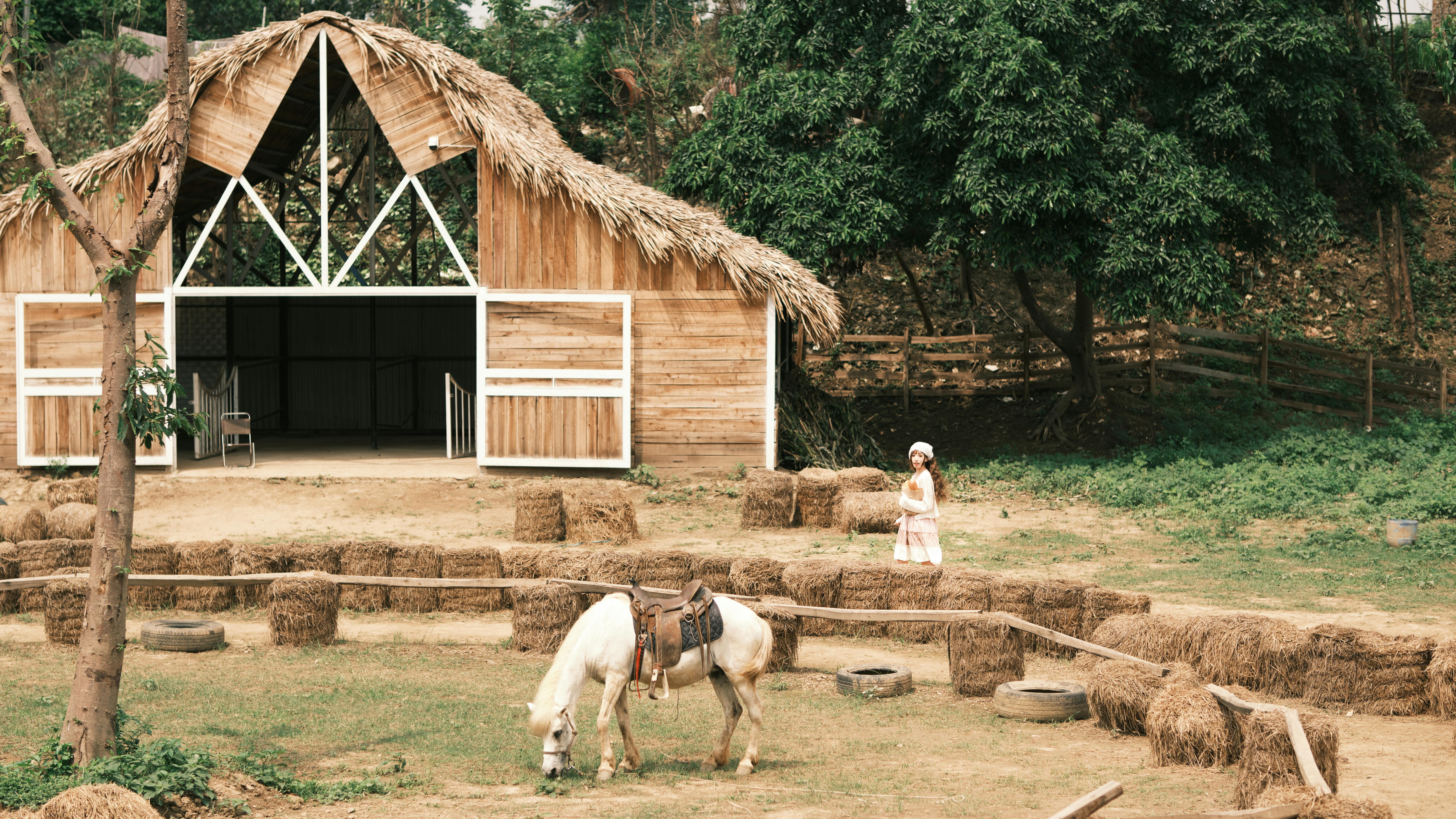 Rustic Barn Scene with Child and Horse · Free Stock Photo