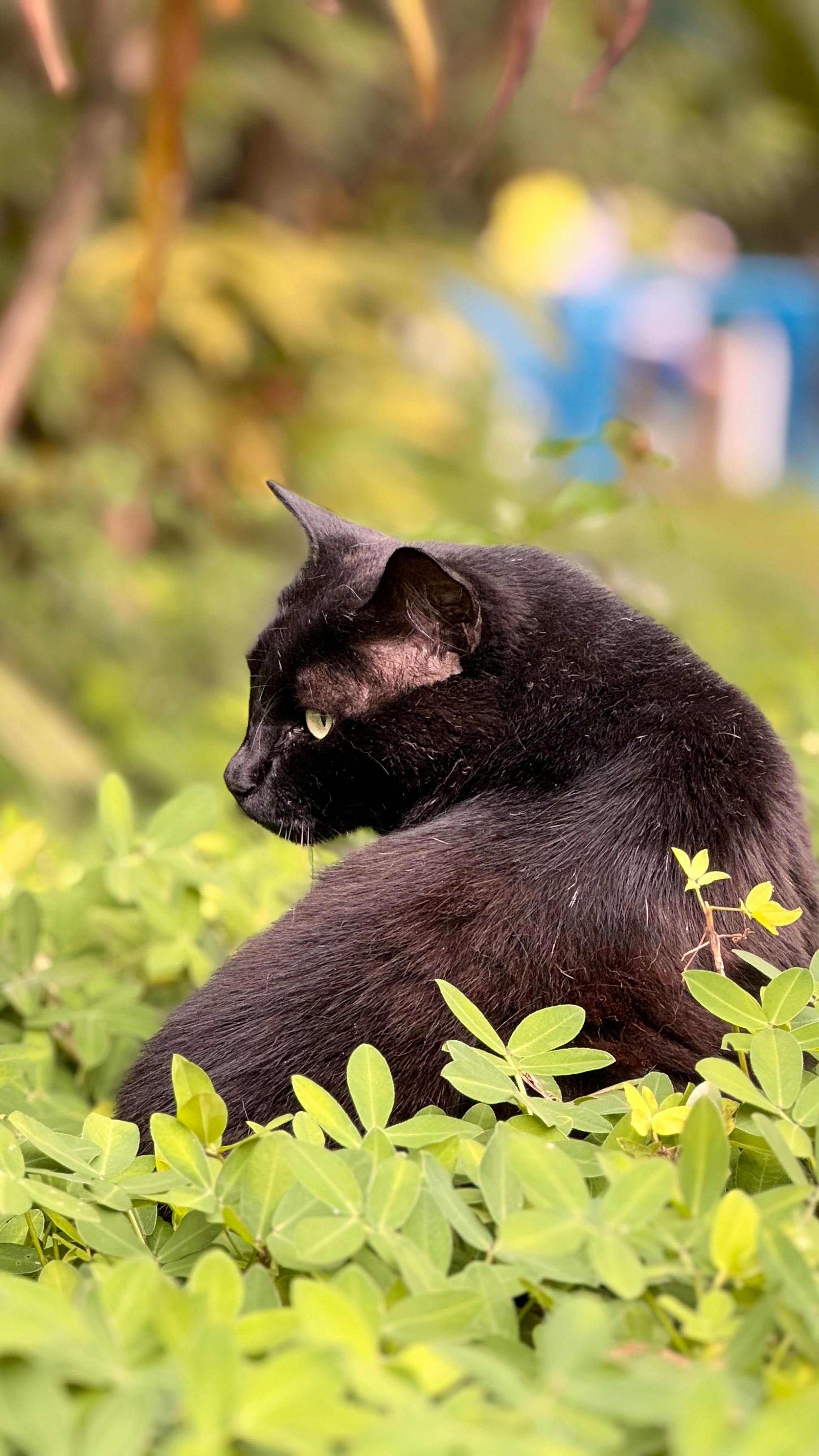 Cute+Dead+Guys+Pictures Photos, Download The BEST Free Cute+Dead+Guys ...