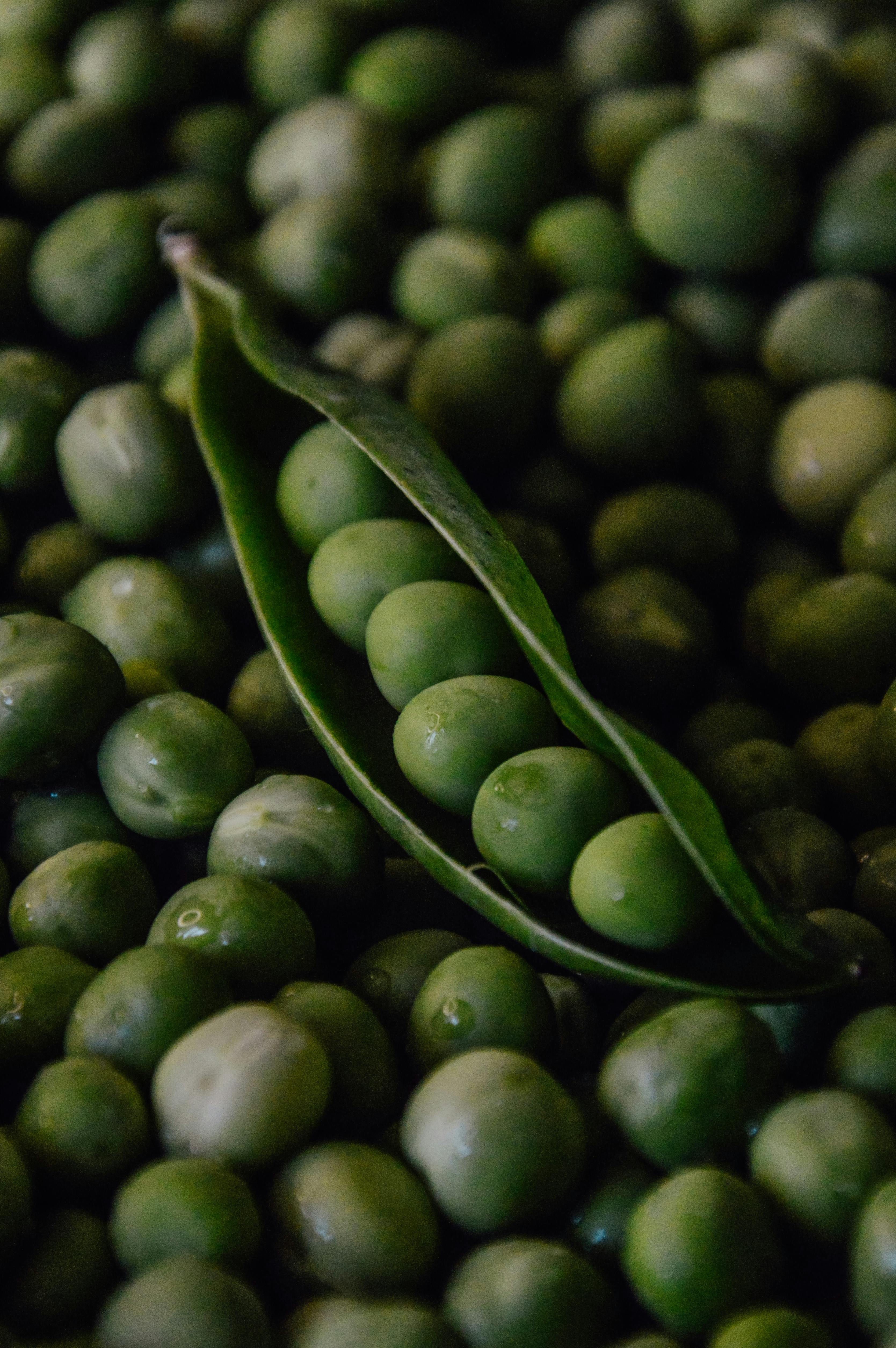 Close-Up of Fresh Green Peas in Pod · Free Stock Photo