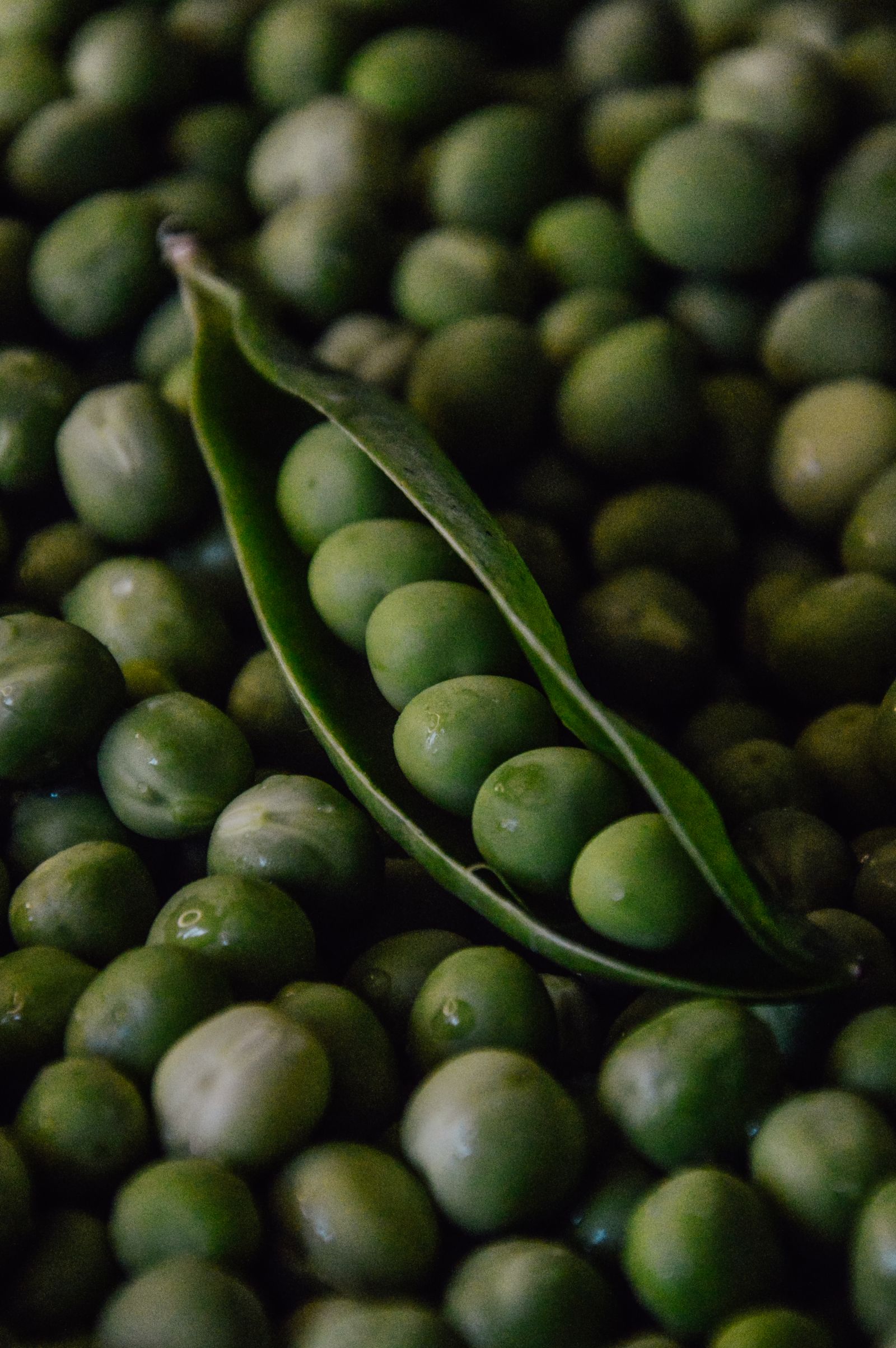 Green Gfx Photos, Download The BEST Free Green Gfx Stock Photos & HD Images