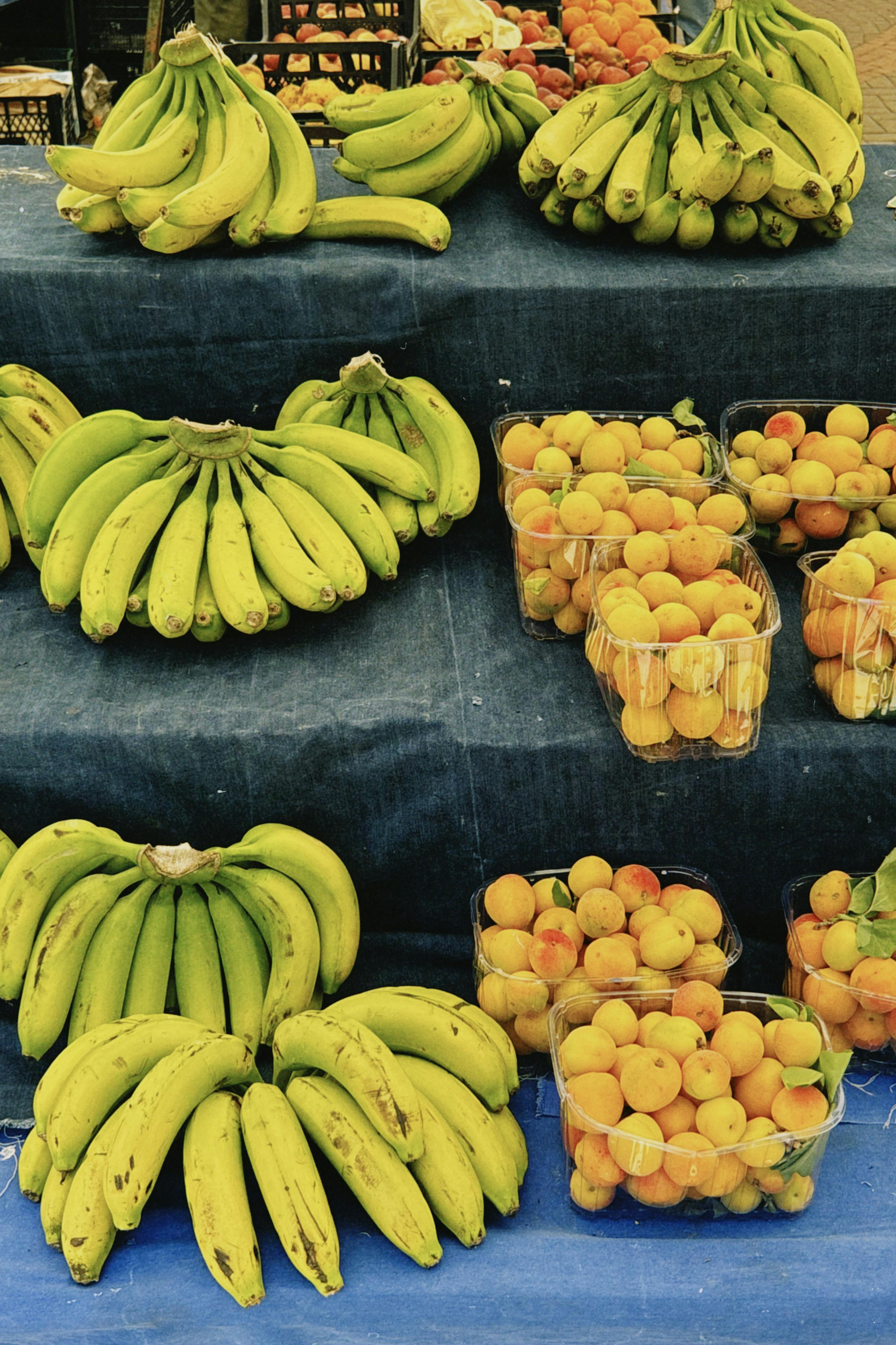 Raw Pixels Photos, Download The BEST Free Raw Pixels Stock Photos & HD ...