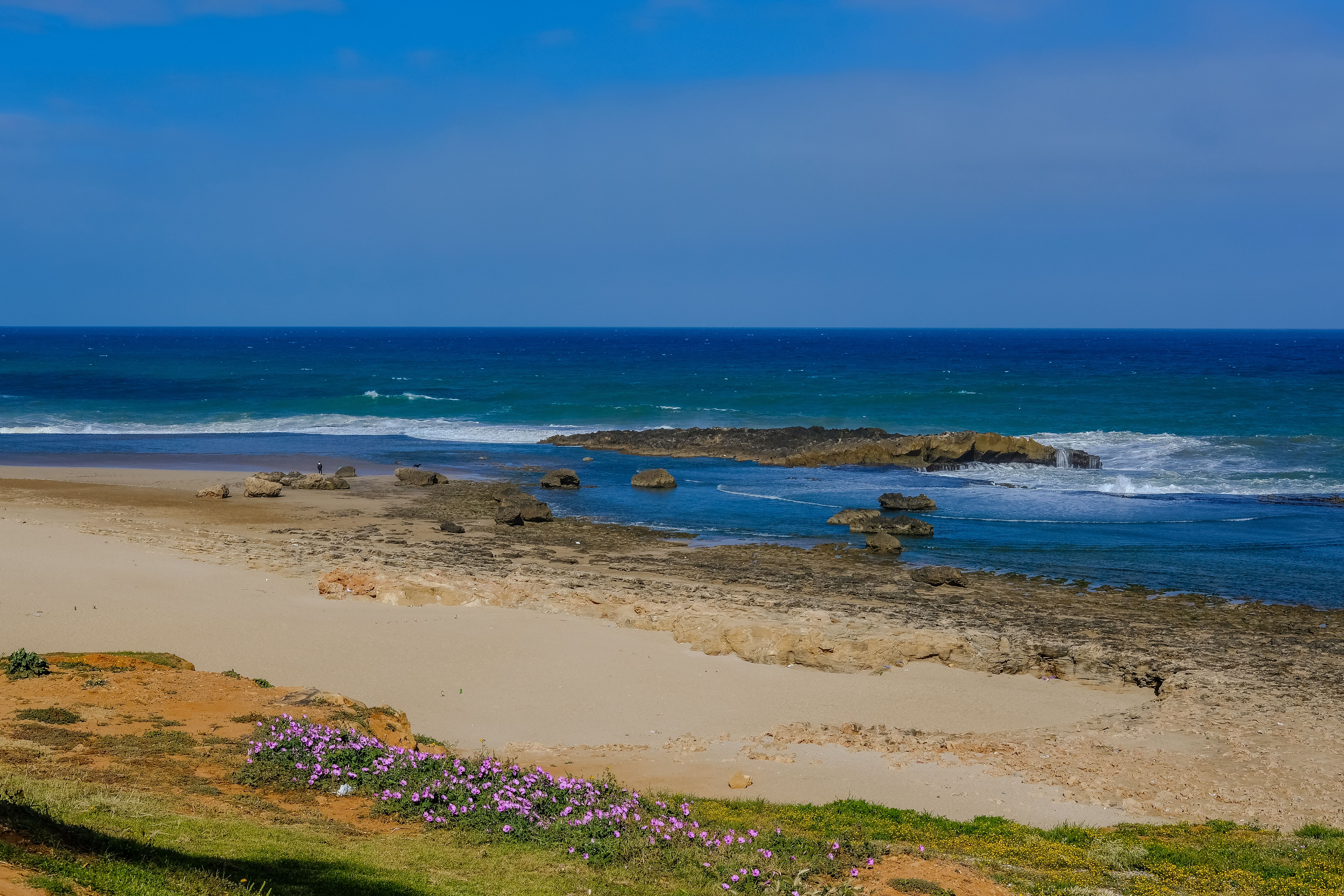 Scenic Beach View in Rabat with Flowers · Free Stock Photo