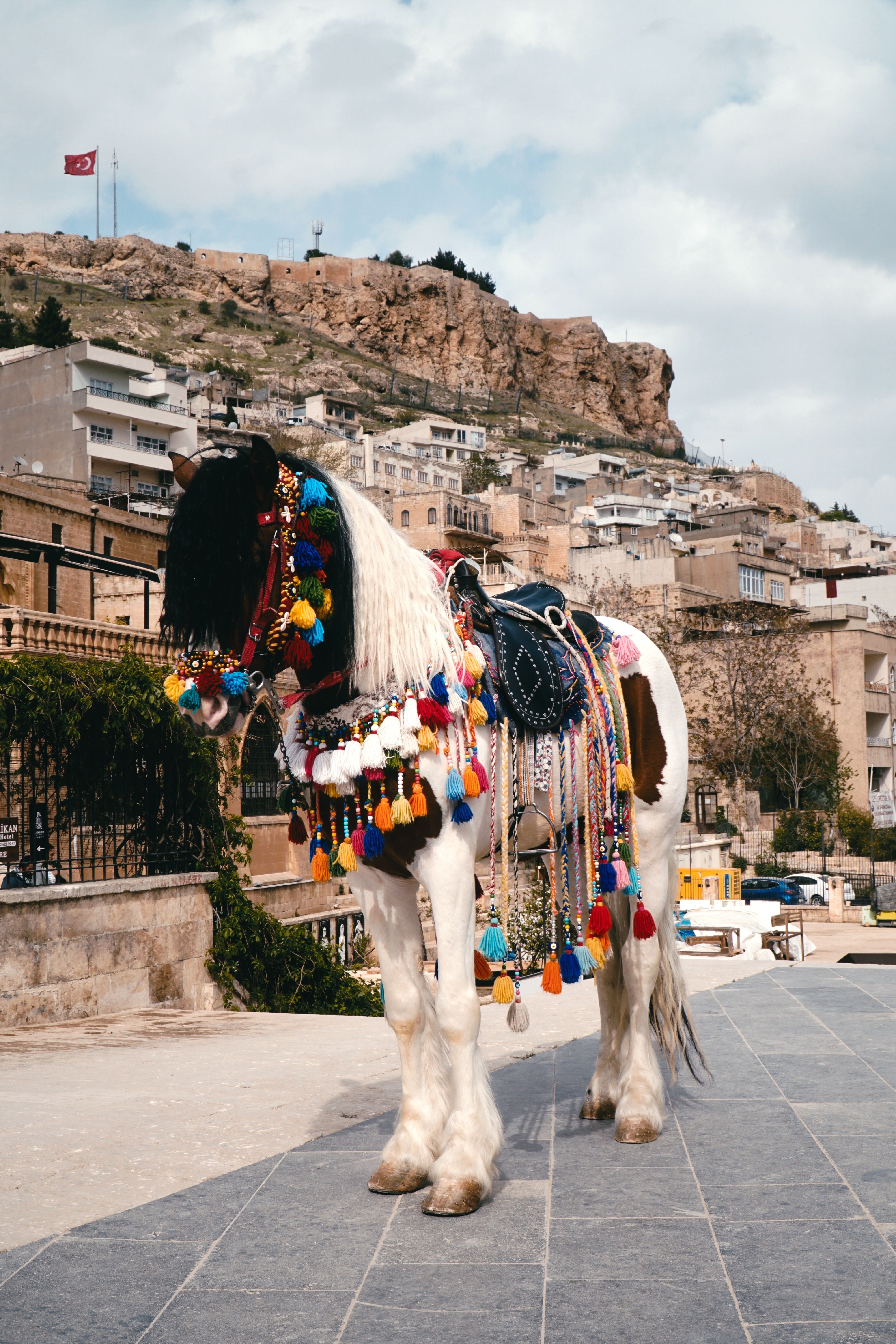 Caballo Decorado De Colores En El Histórico Mardin · Foto de stock gratuita