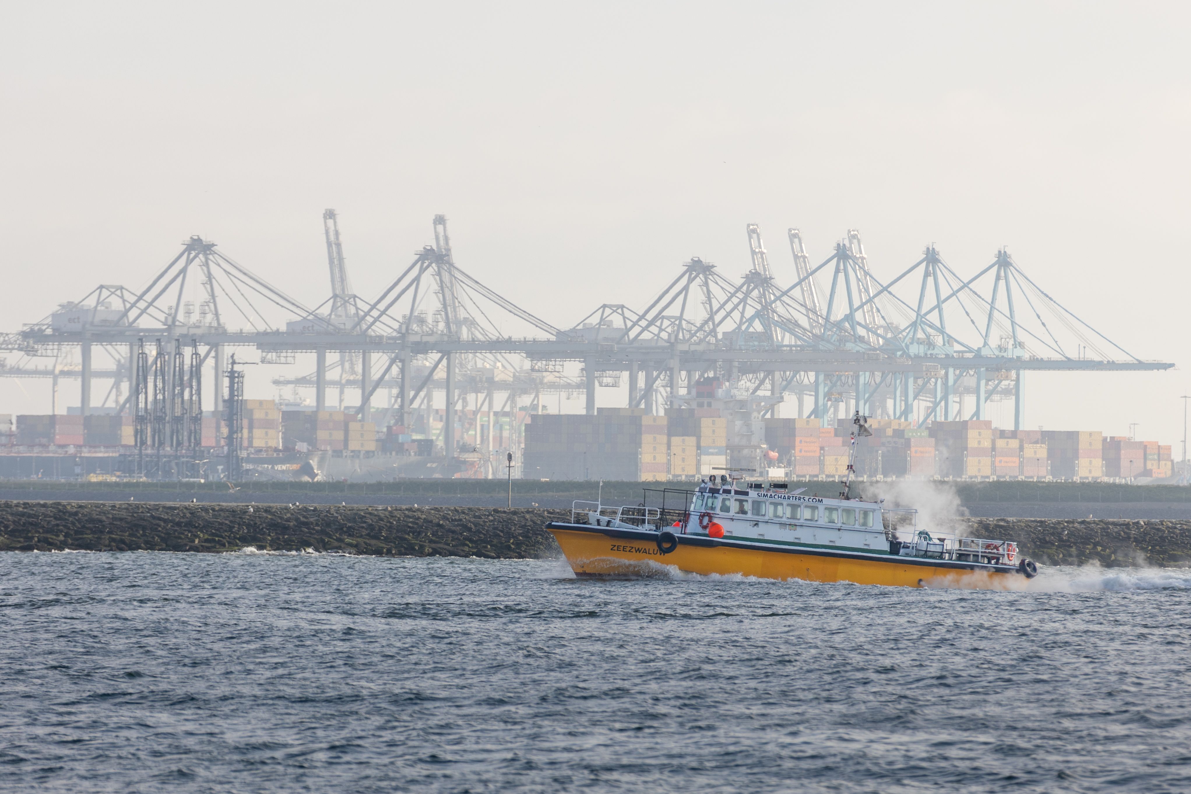Yellow Boat in Hoek van Holland Harbour · Free Stock Photo