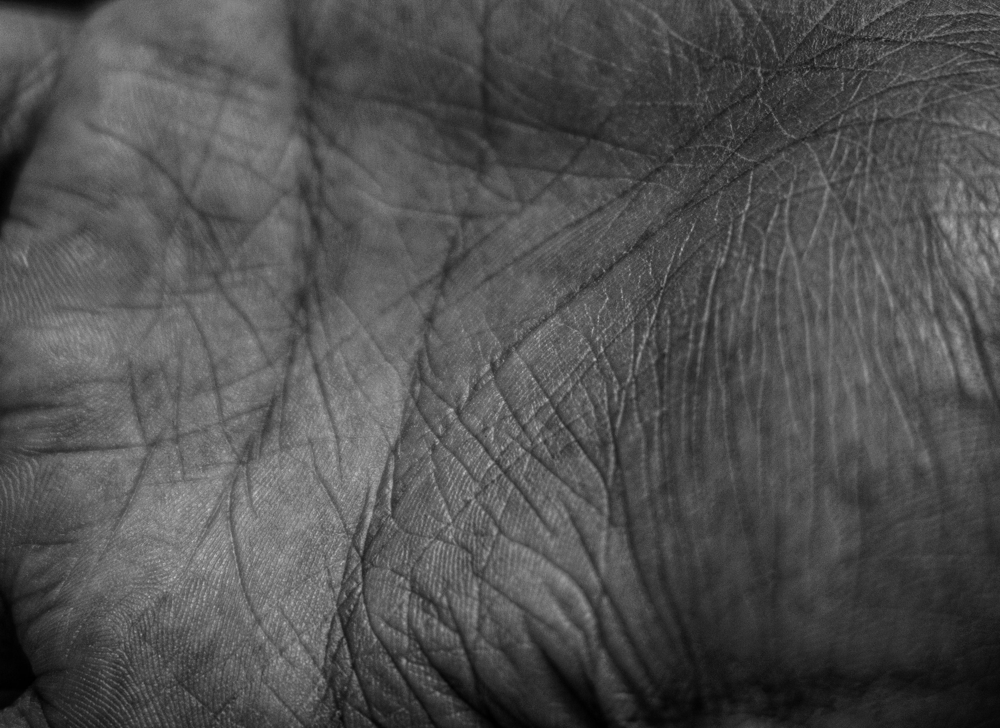 Story Batar Photos, Download The BEST Free Story Batar Stock Photos ...
