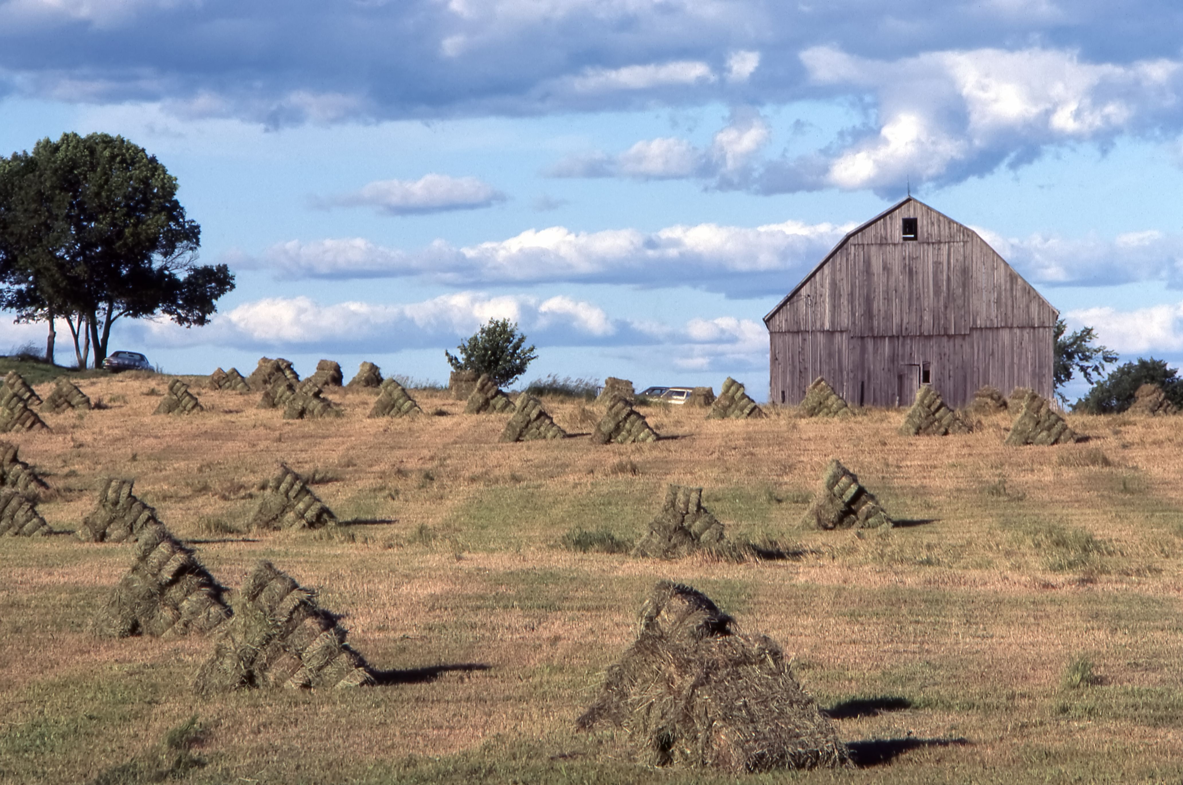 Farm Field Landscape Photos, Download The BEST Free Farm Field ...