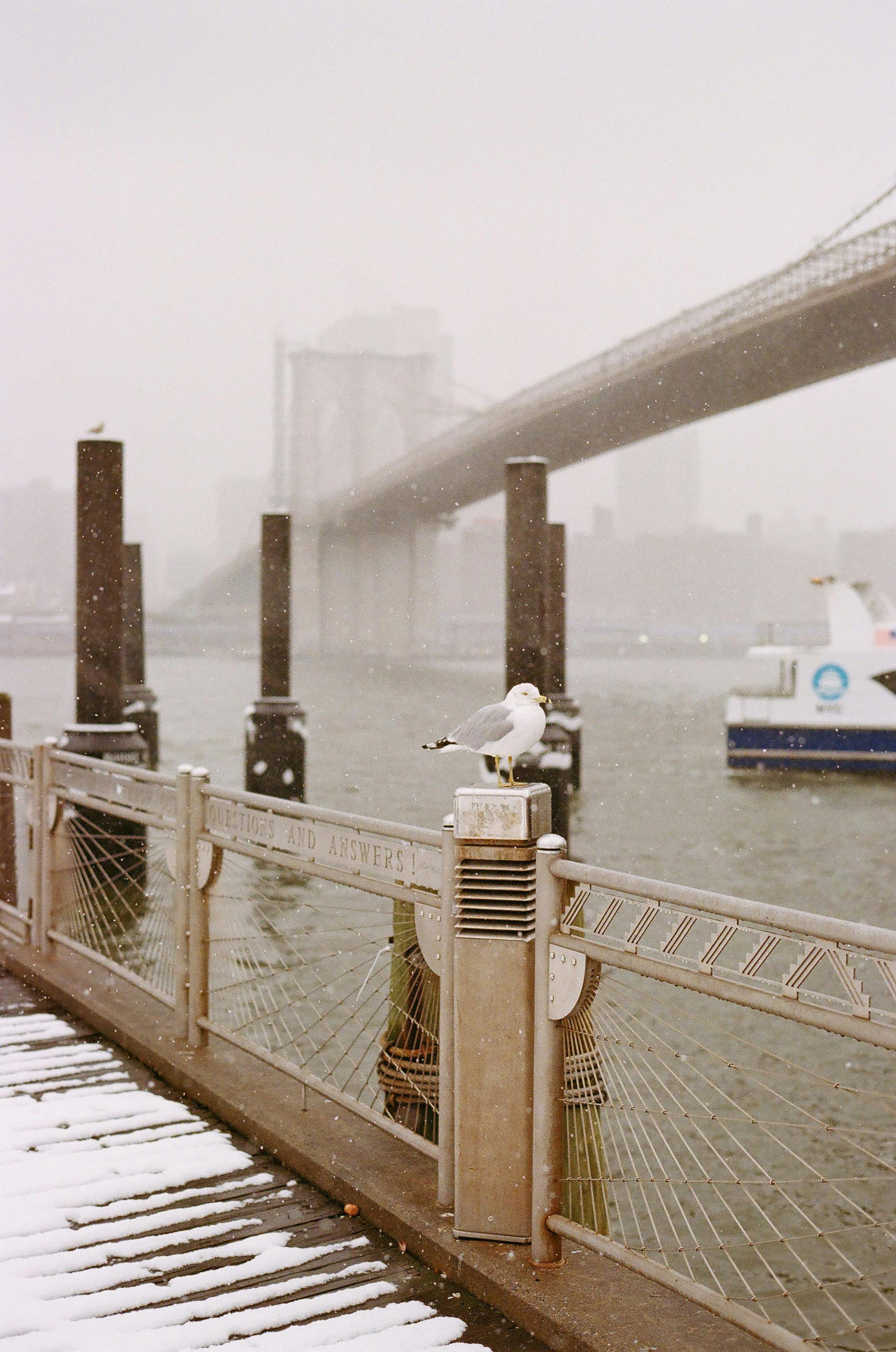 A+Cross+Sea+Bridge+In+The+Fog+At+Night Photos, Download The BEST Free A ...