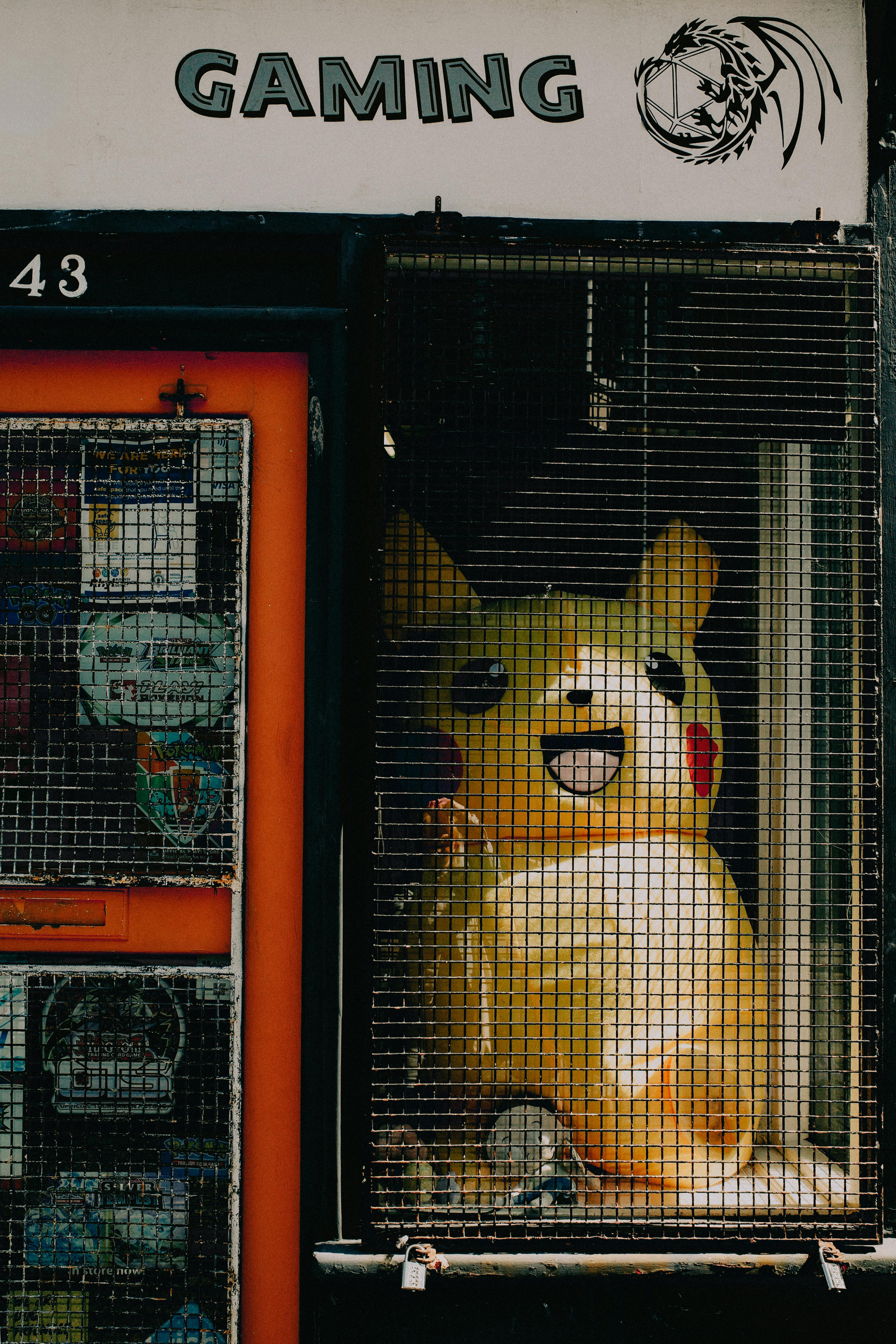 Close-up Photo of Pokemon Pikachu Figurine · Free Stock Photo