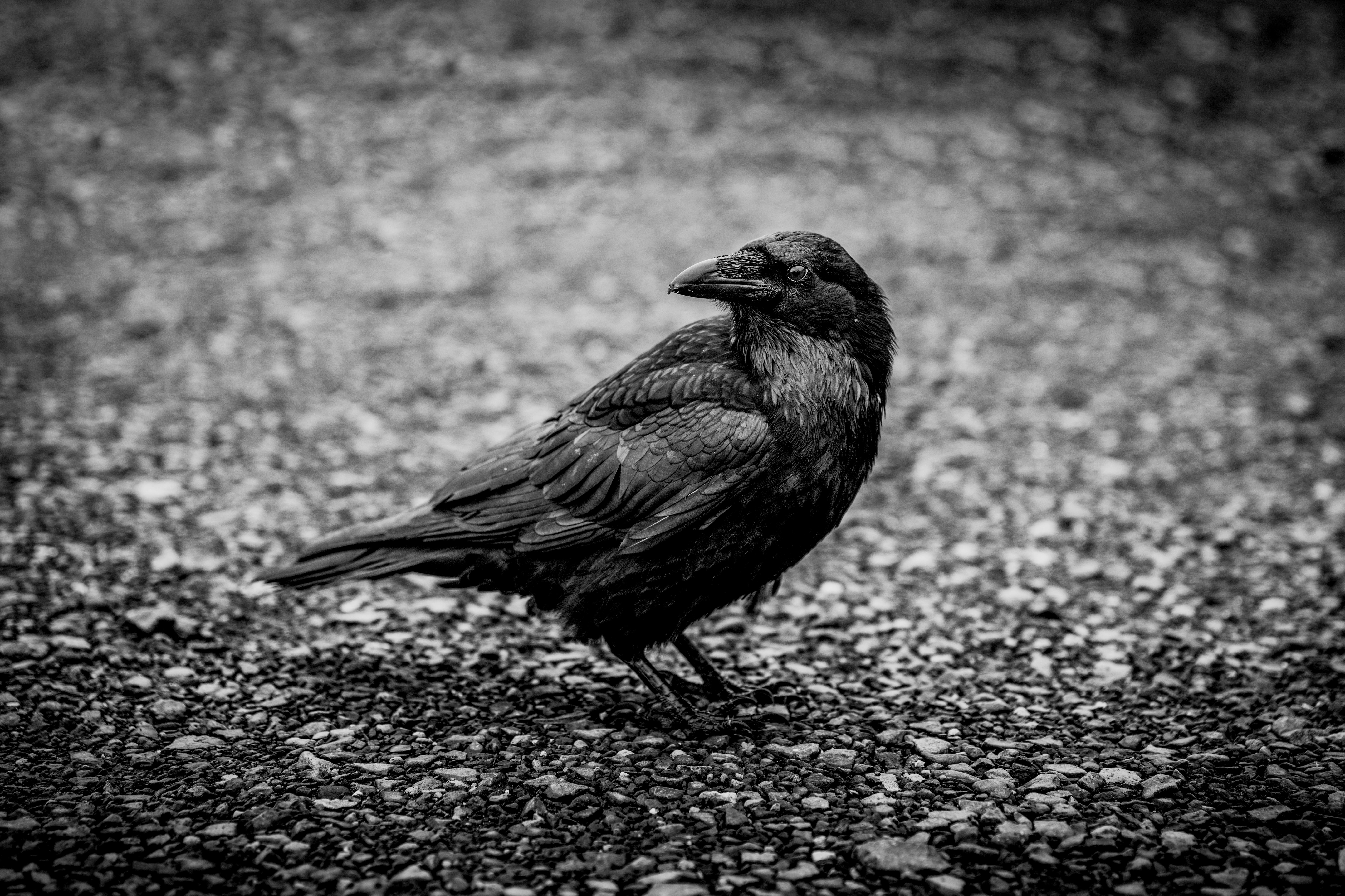 Static Texture Photos, Download The BEST Free Static Texture Stock ...