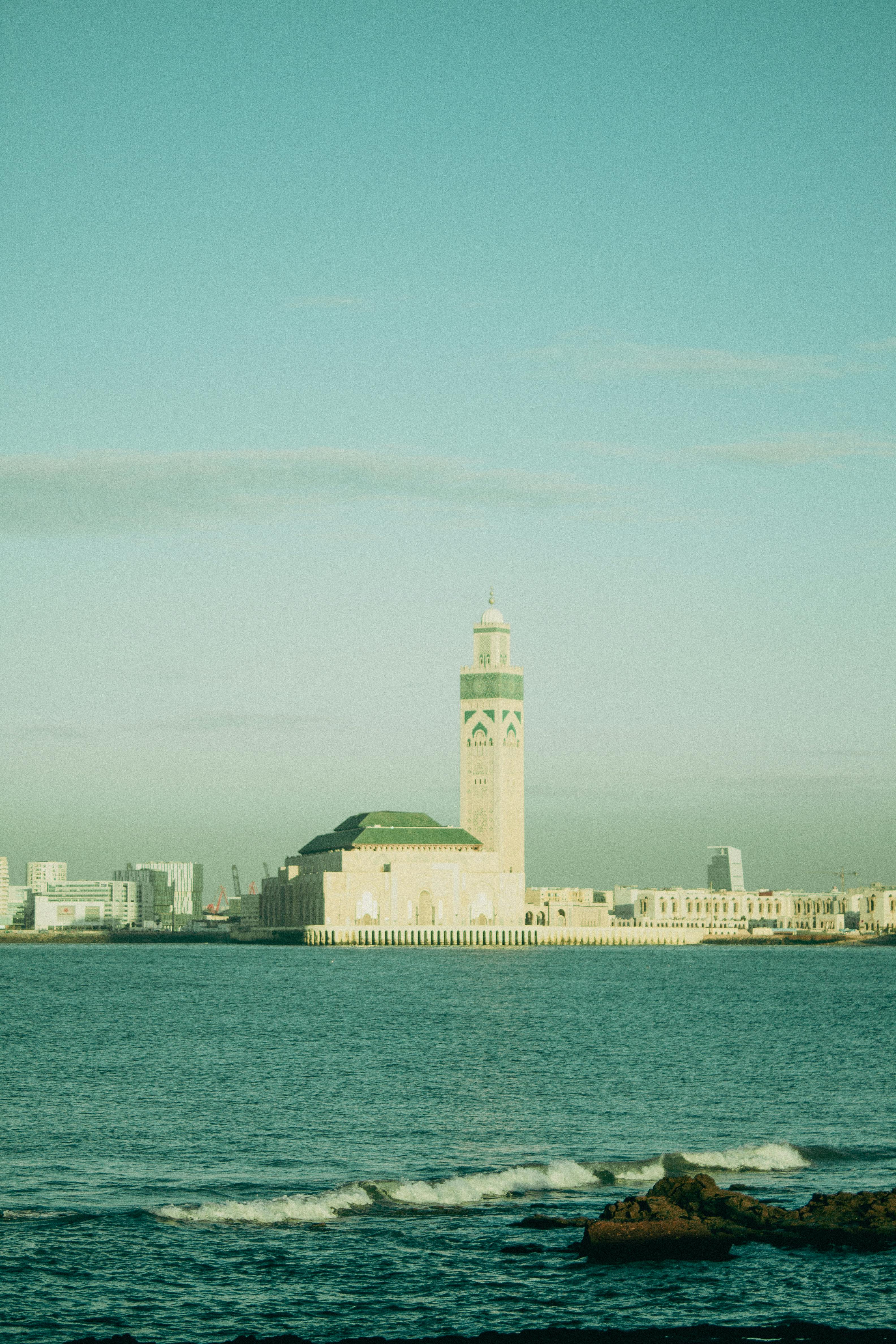 Sea Eater Photos, Download The BEST Free Sea Eater Stock Photos & HD Images