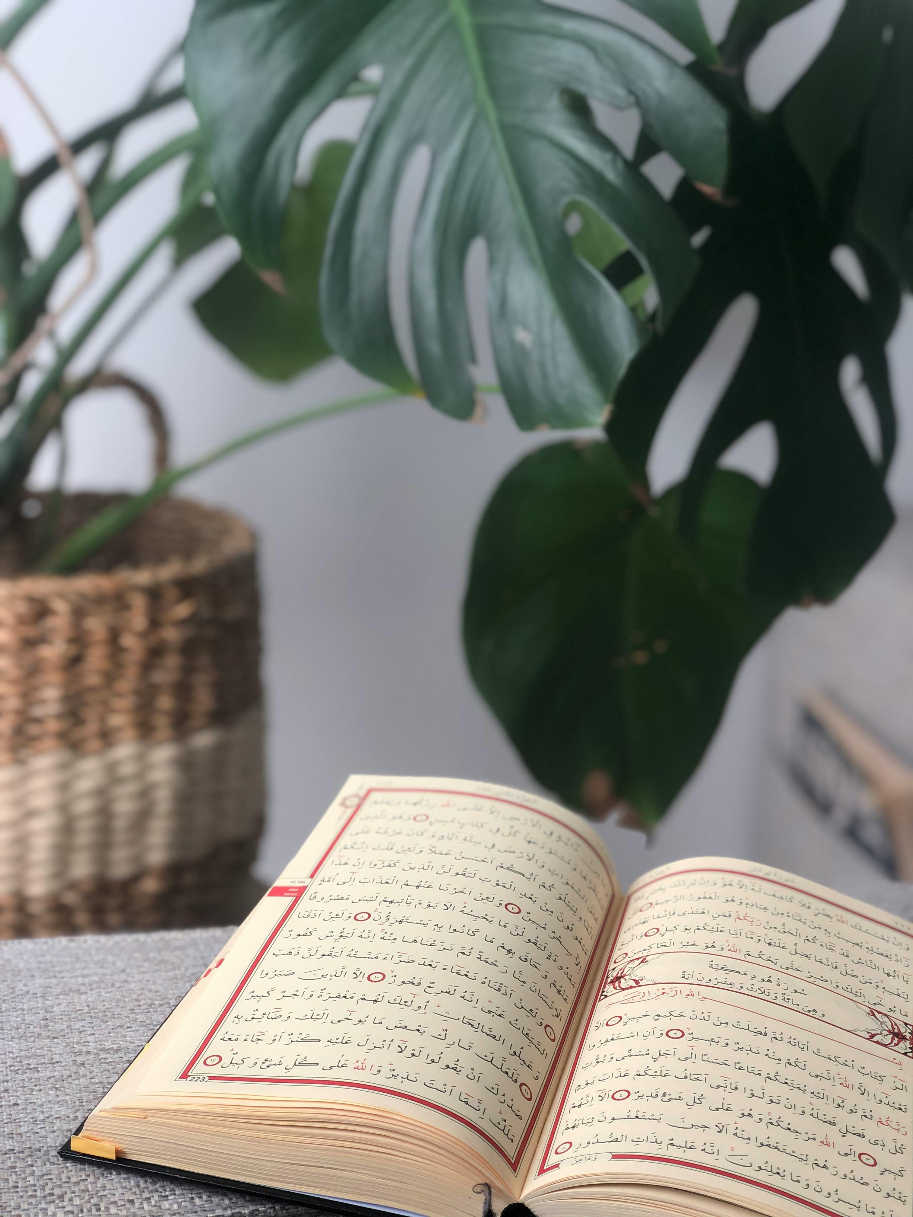 Book Reading Photos, Download The BEST Free Book Reading Stock Photos ...