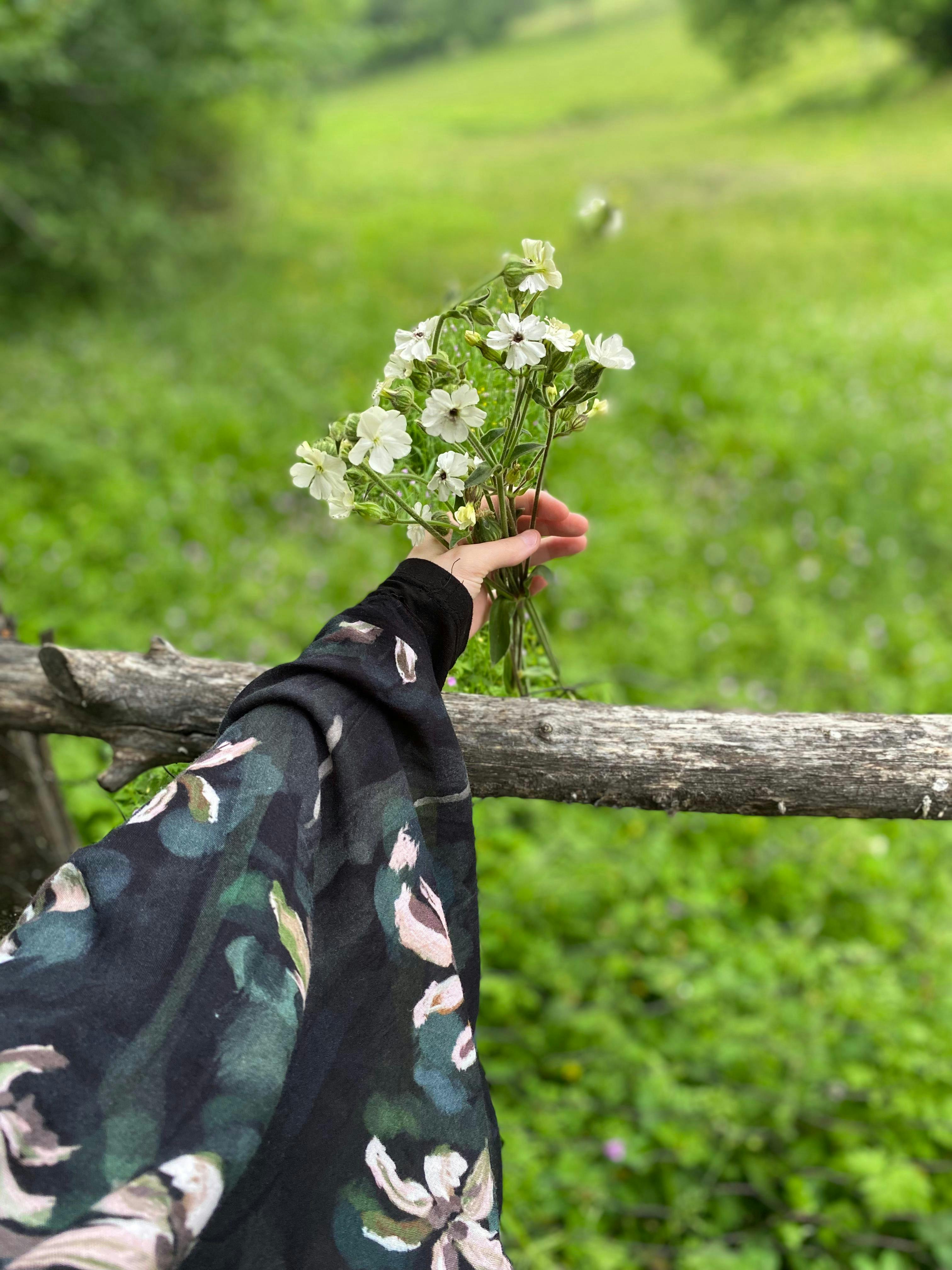 Simple Landscape Photos, Download The BEST Free Simple Landscape Stock ...