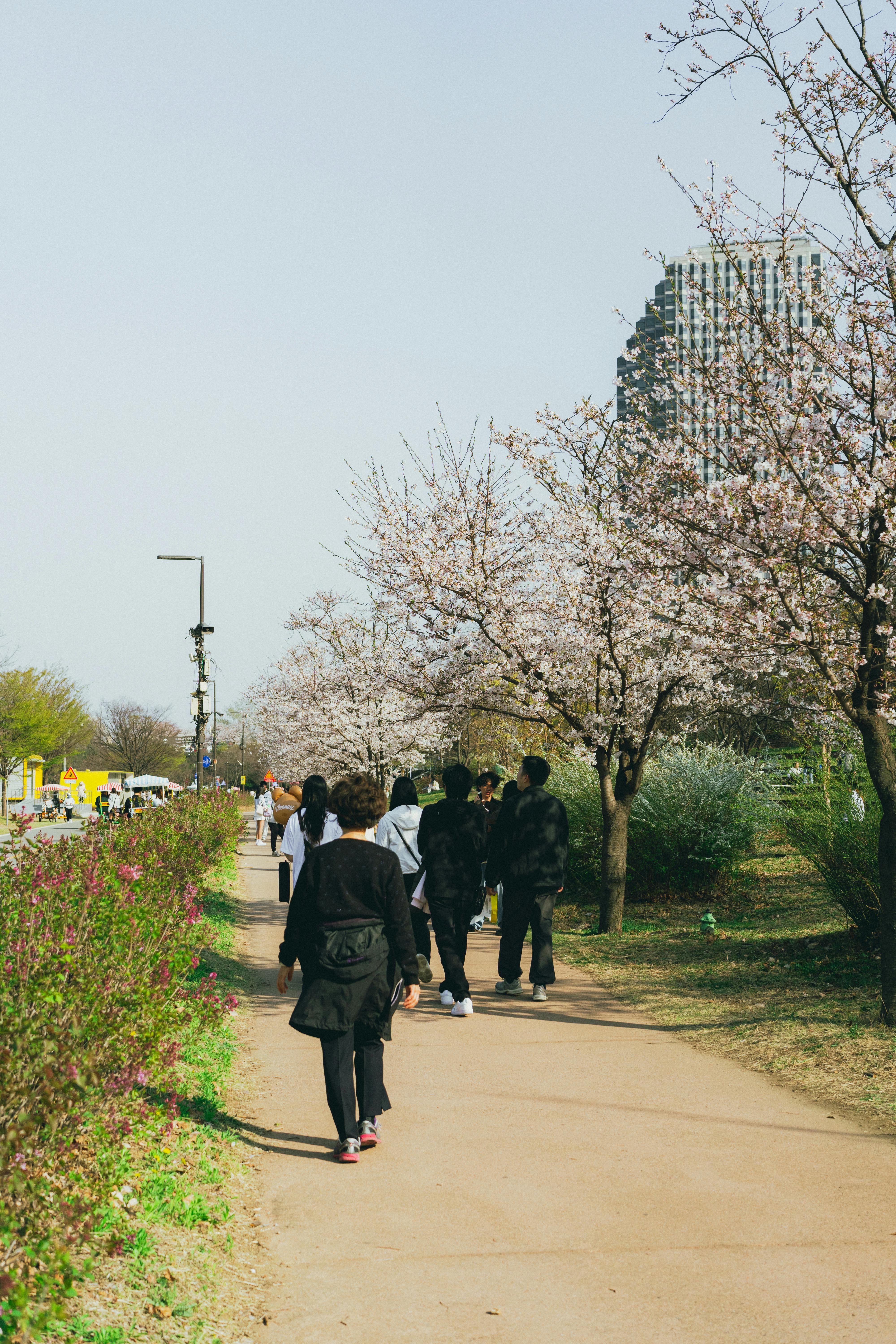 Scenery Wallpaper Photos, Download The BEST Free Scenery Wallpaper ...