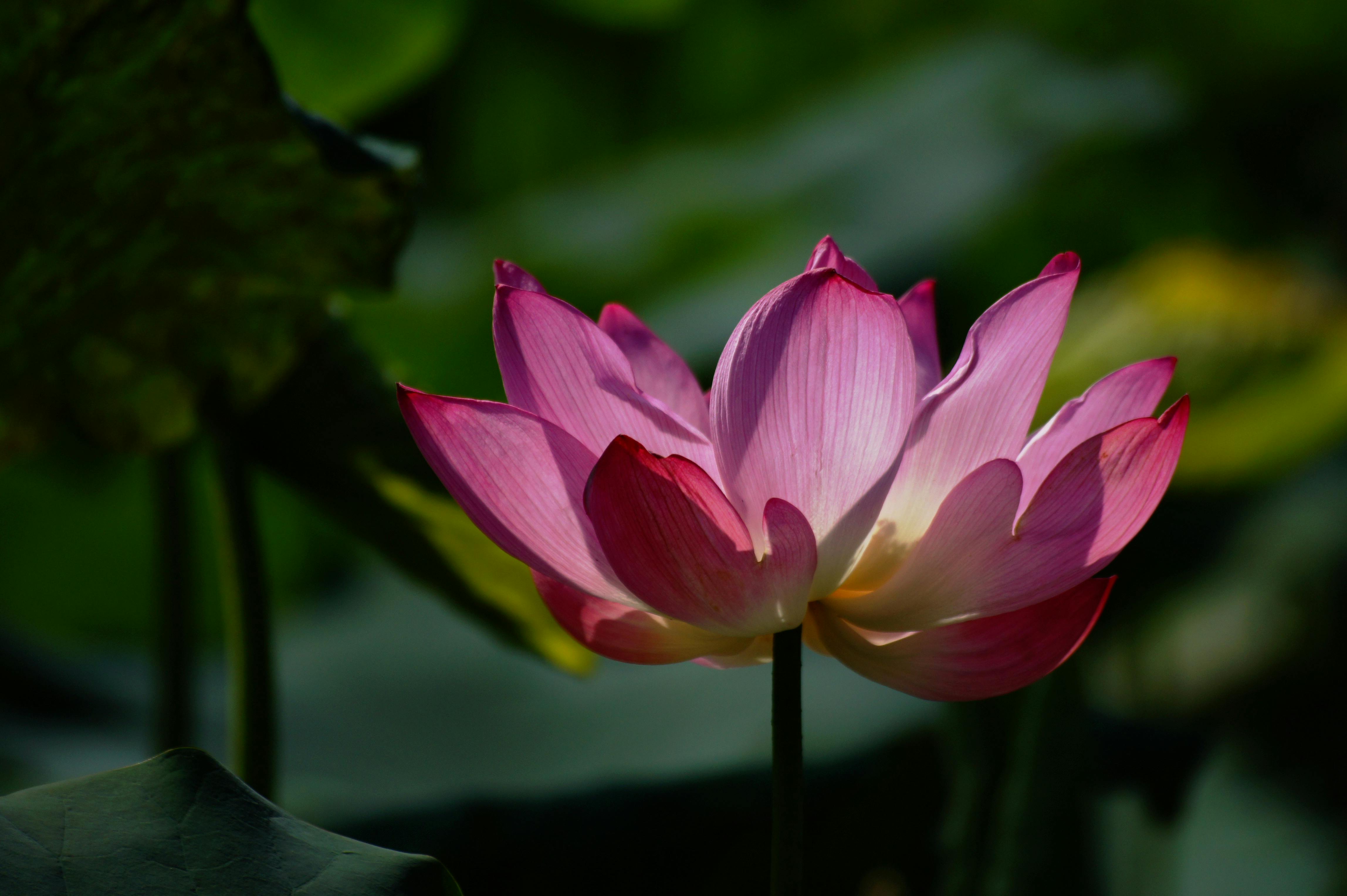 Introduction+Images+For+Presentation Photos, Download The BEST Free ...