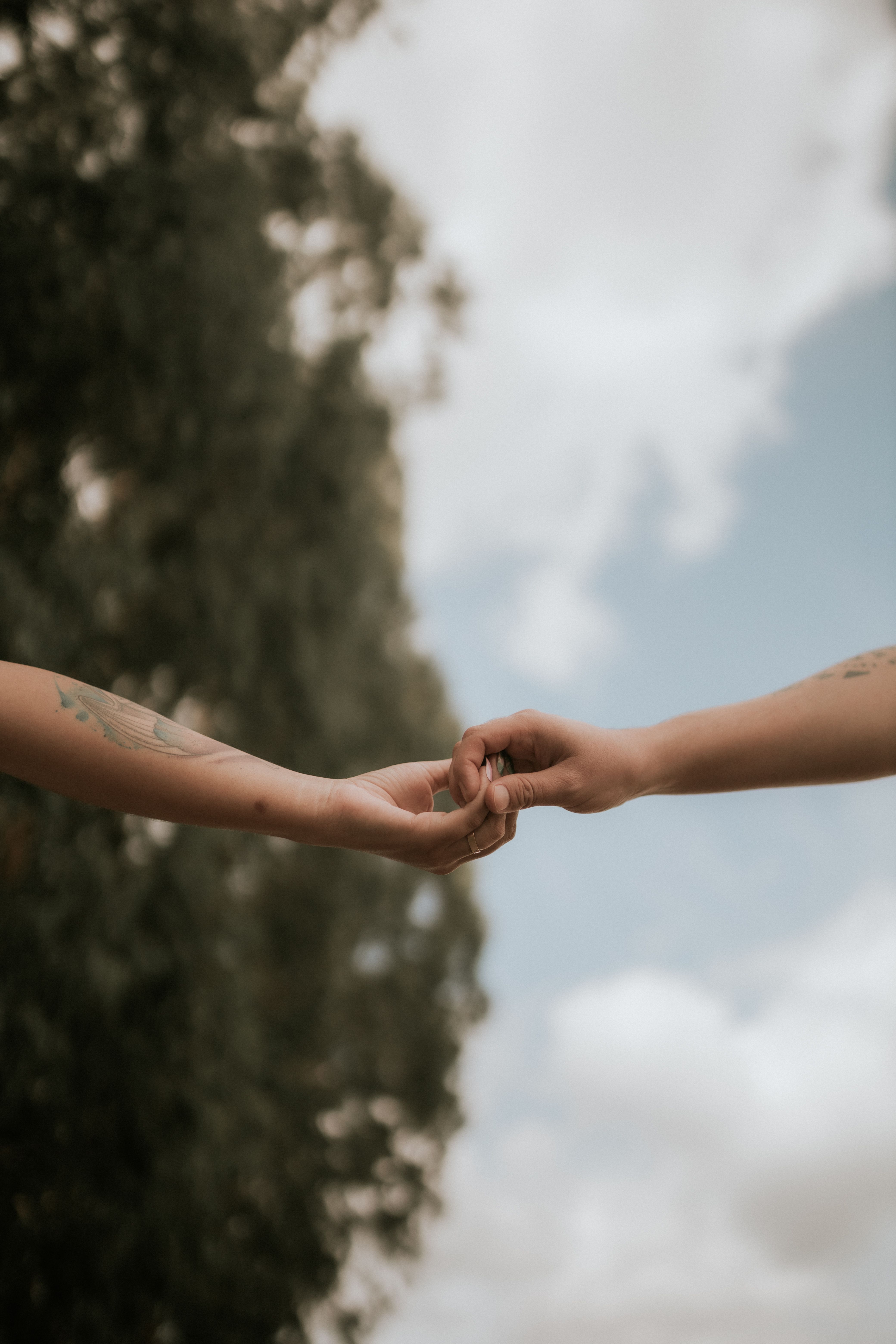 Two Hands Reaching Towards Each Other in Nature · Free Stock Photo