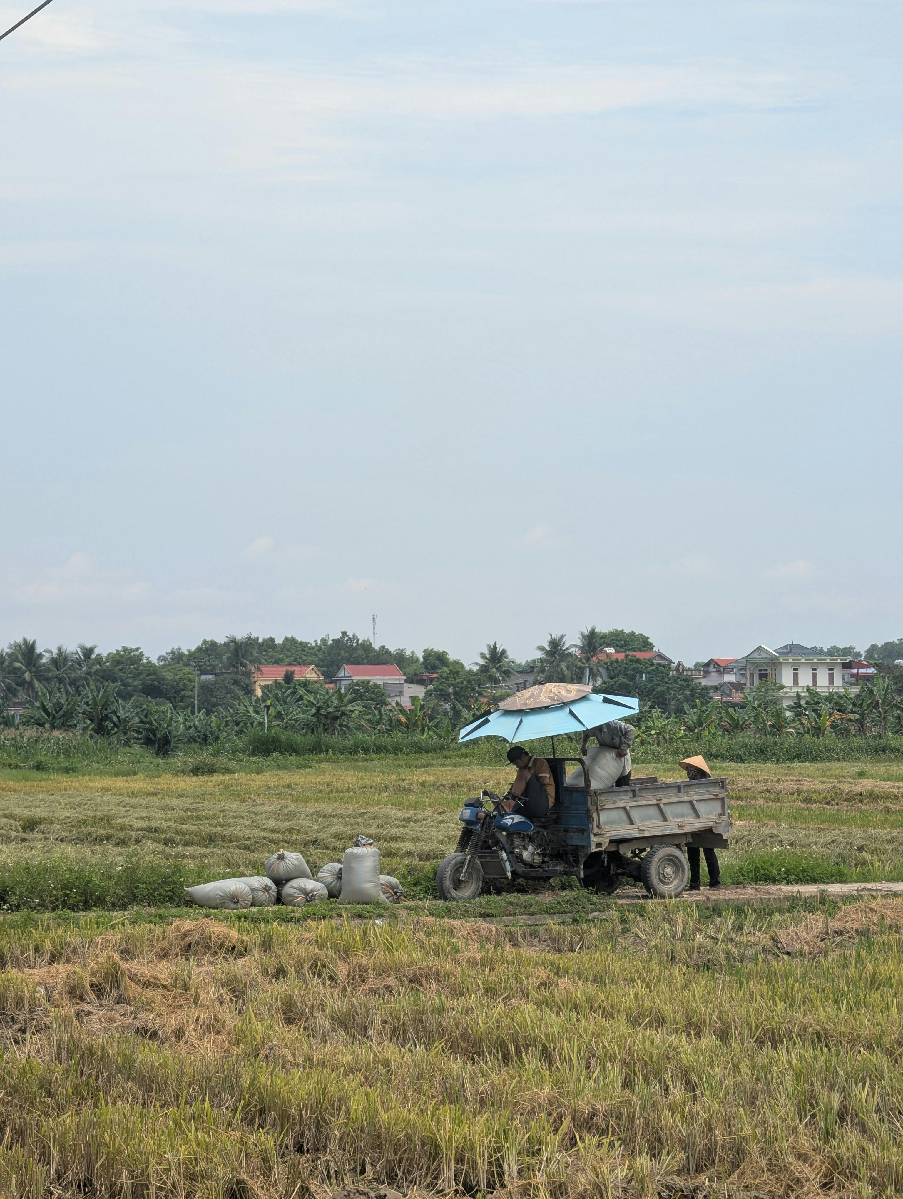 Rural Scene with Farmer on Motorized Cart · Free Stock Photo