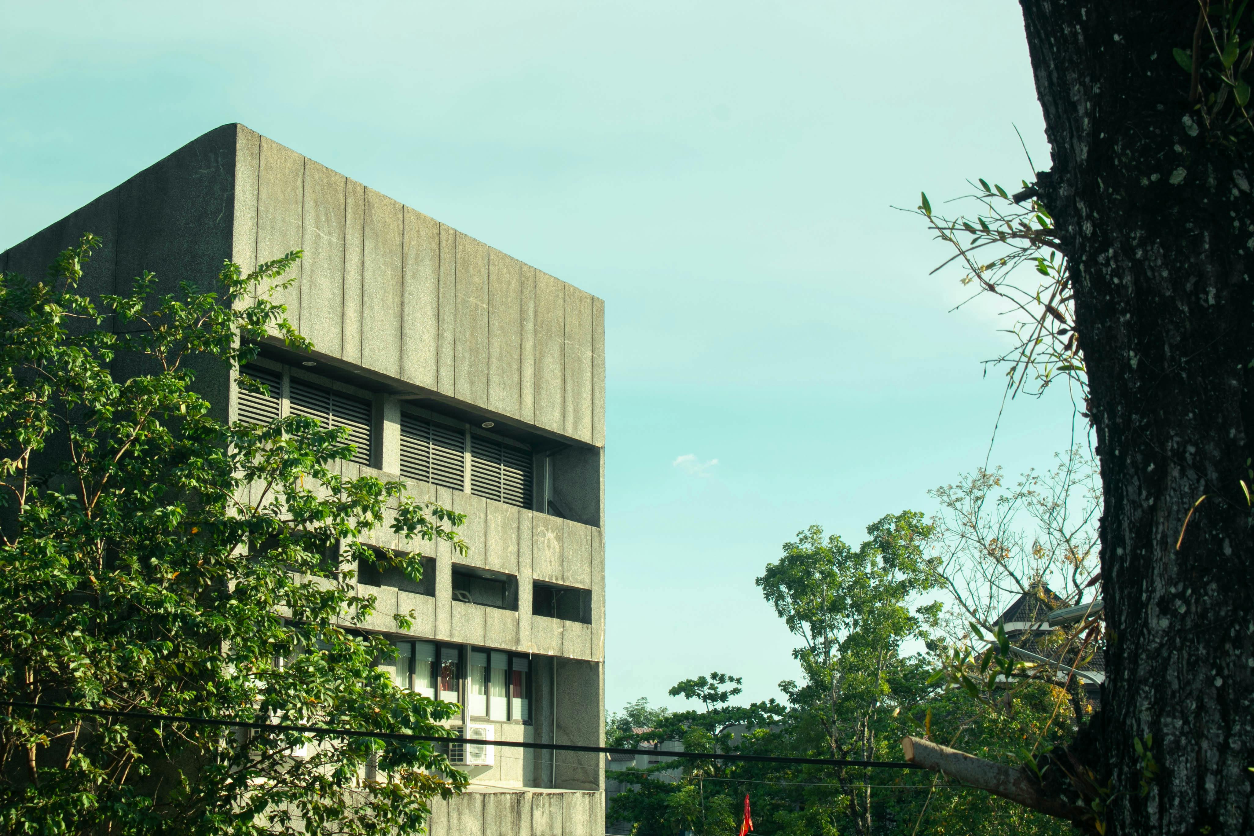 Eco Brutalism Photos, Download The BEST Free Eco Brutalism Stock Photos ...