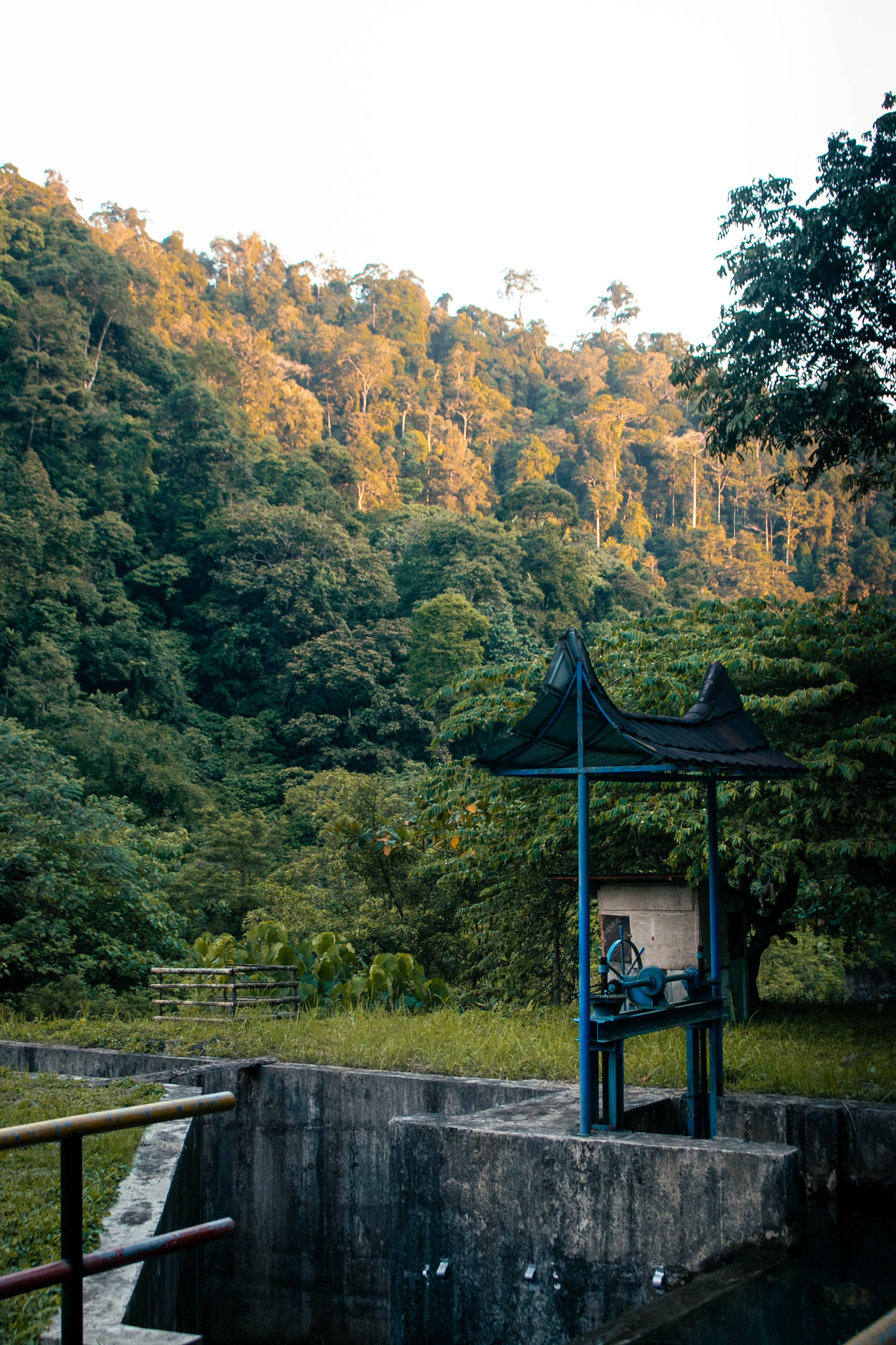 Peaceful Greenery Surrounding Rustic Structure · Free Stock Photo