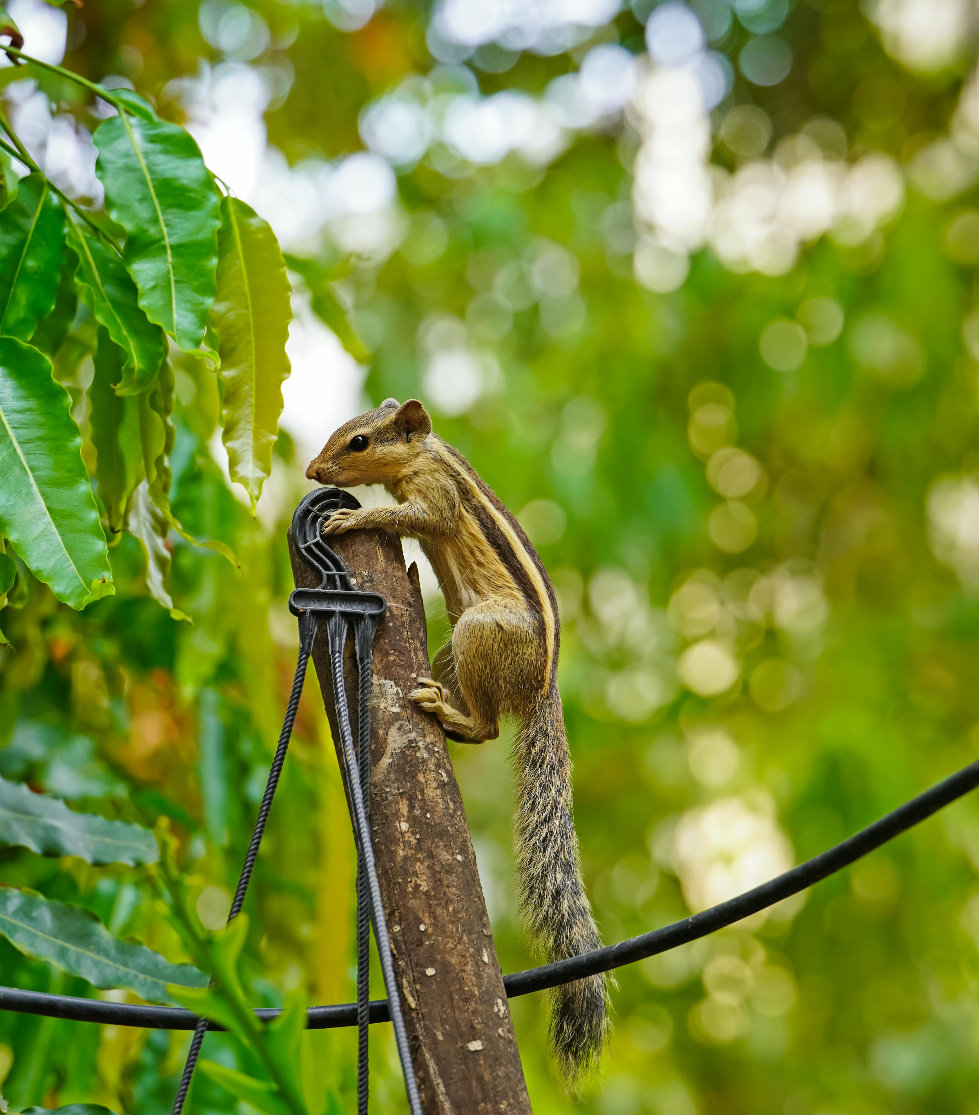 Dil Photo Photos, Download The BEST Free Dil Photo Stock Photos & HD Images