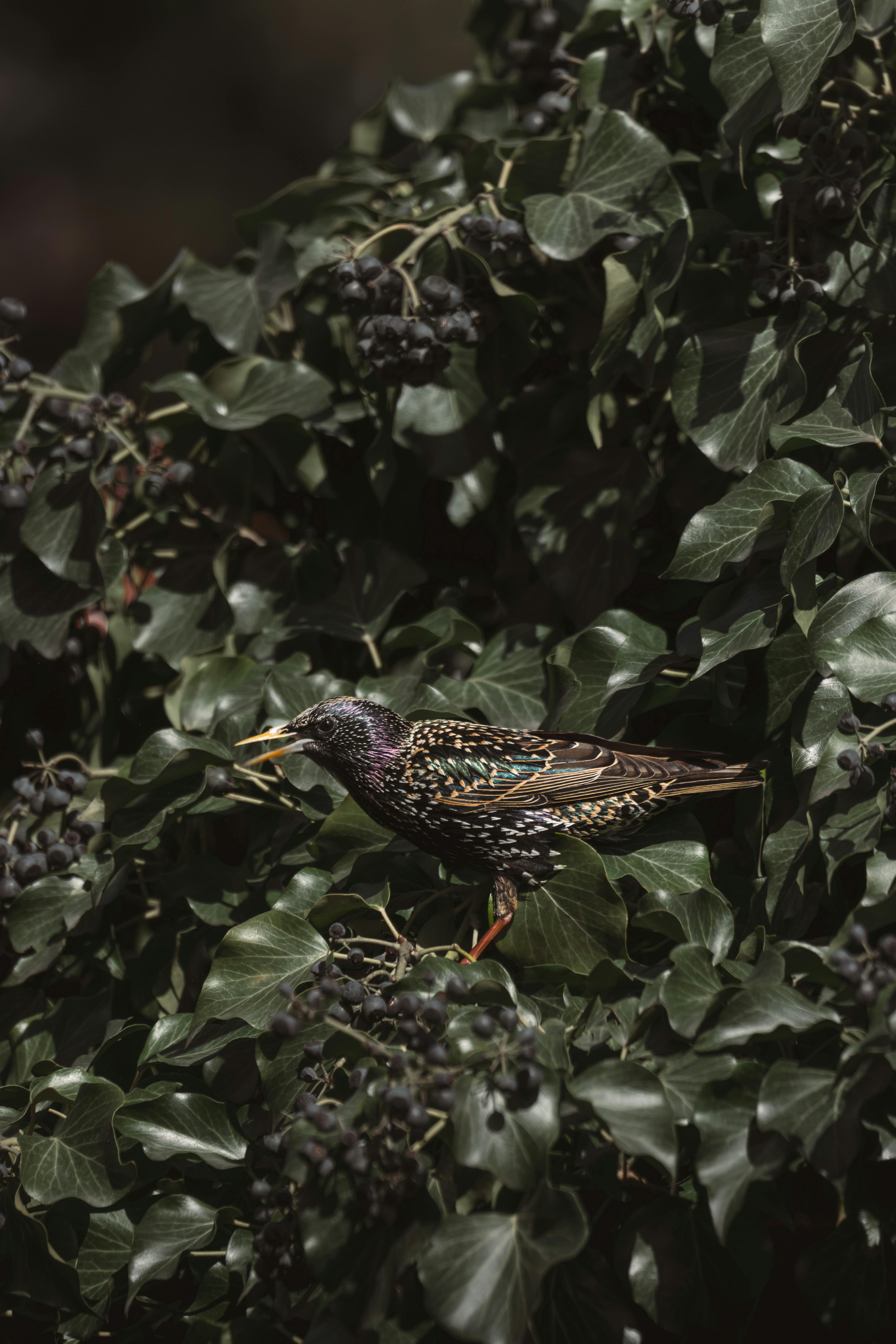 Pick Background Wallpaper Photos, Download The BEST Free Pick ...