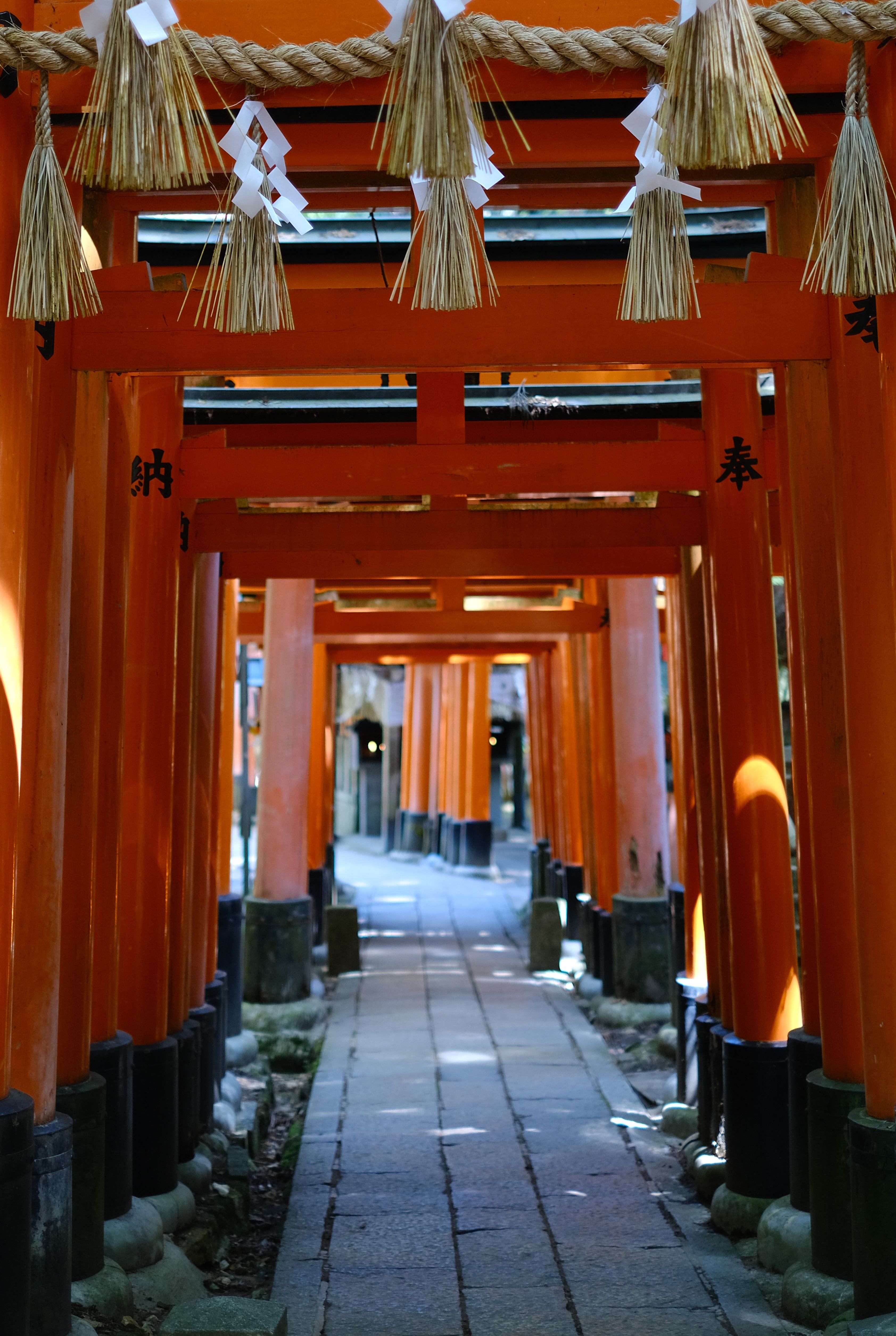 Pilgrimage Path Photos, Download The BEST Free Pilgrimage Path Stock ...
