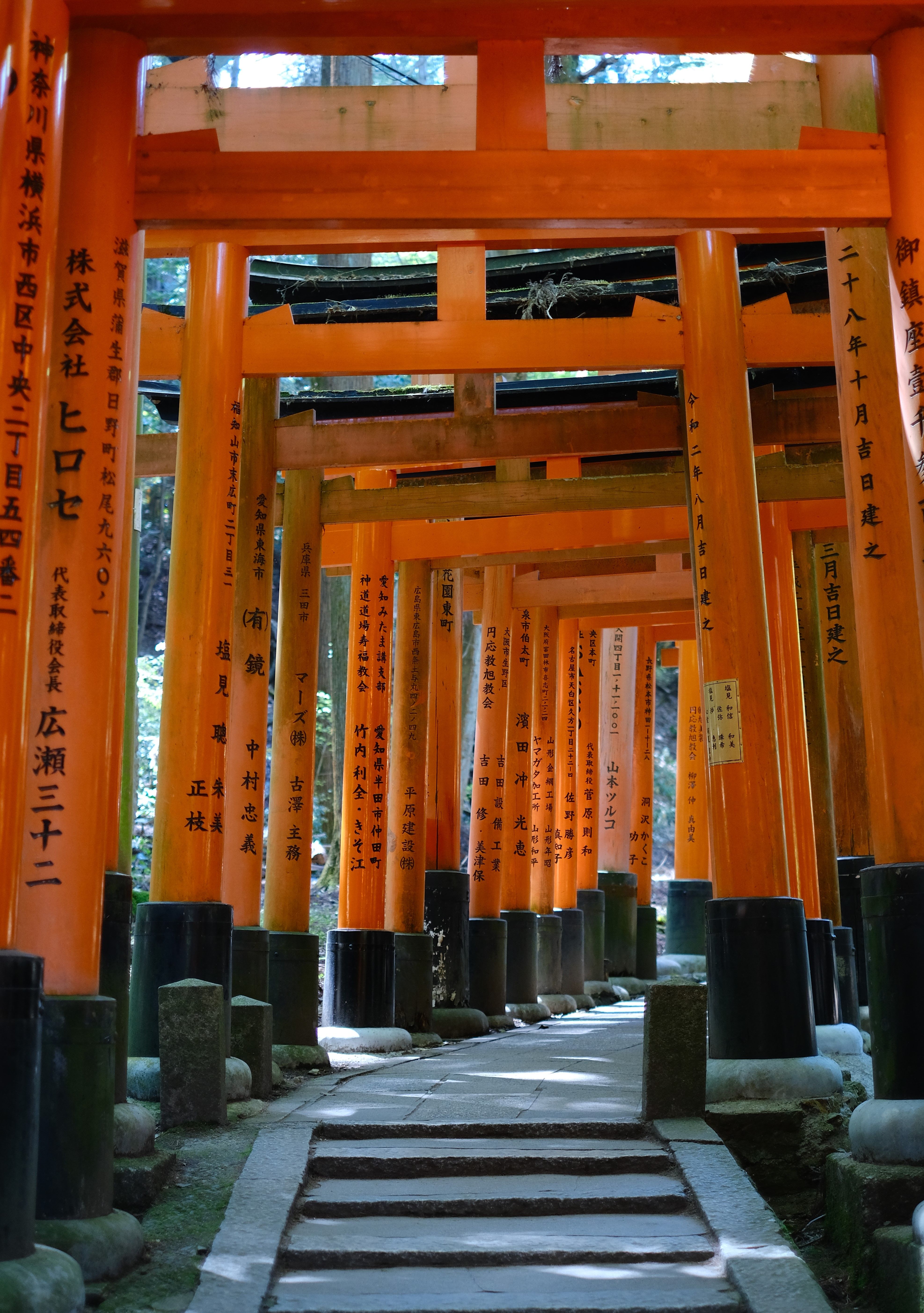 A Traditional Japanese Gate · Free Stock Photo