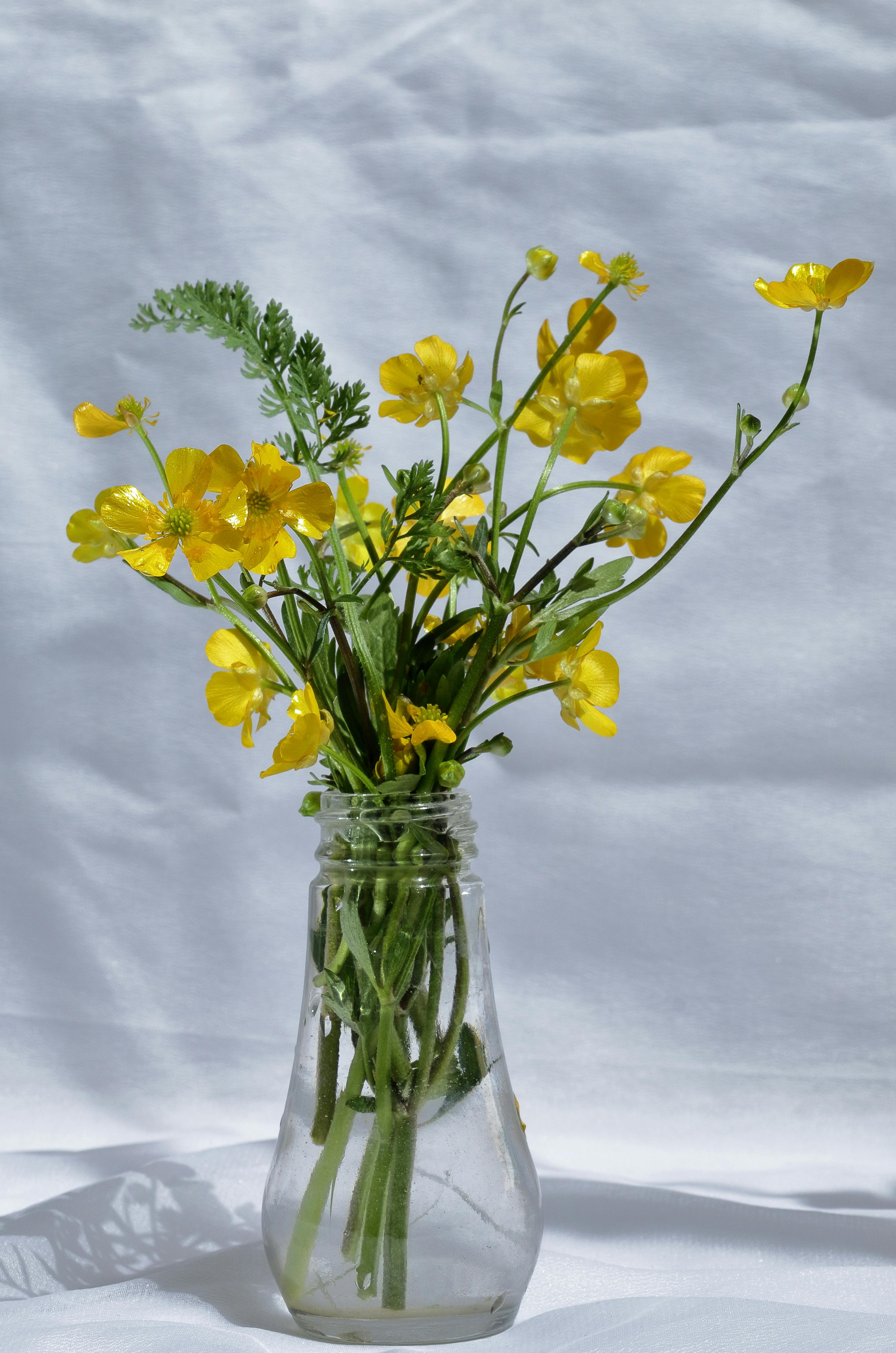 Vibrant Yellow Buttercups in a Glass Vase · Free Stock Photo