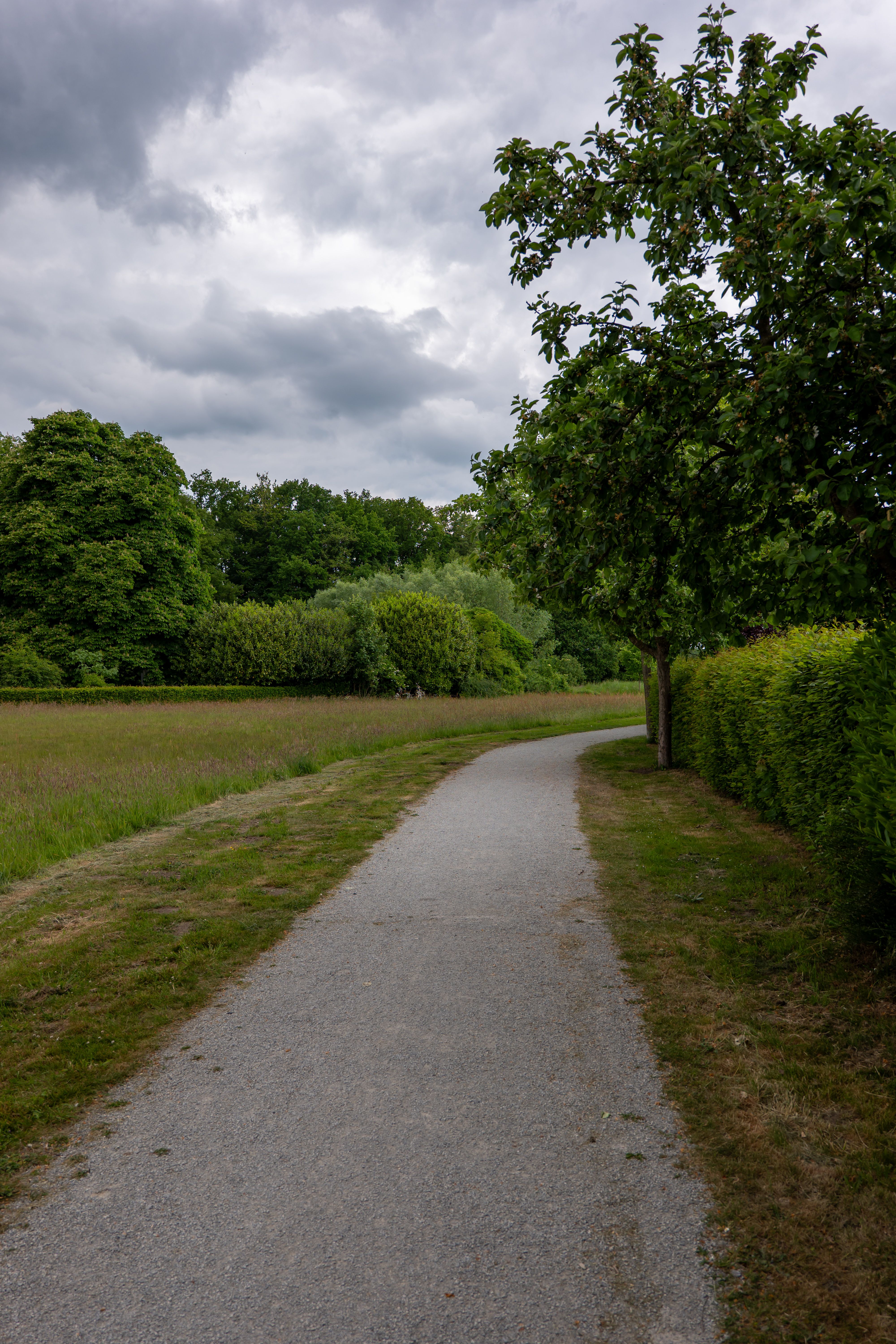 Scenic Pathway Through Lush Green Park · Free Stock Photo