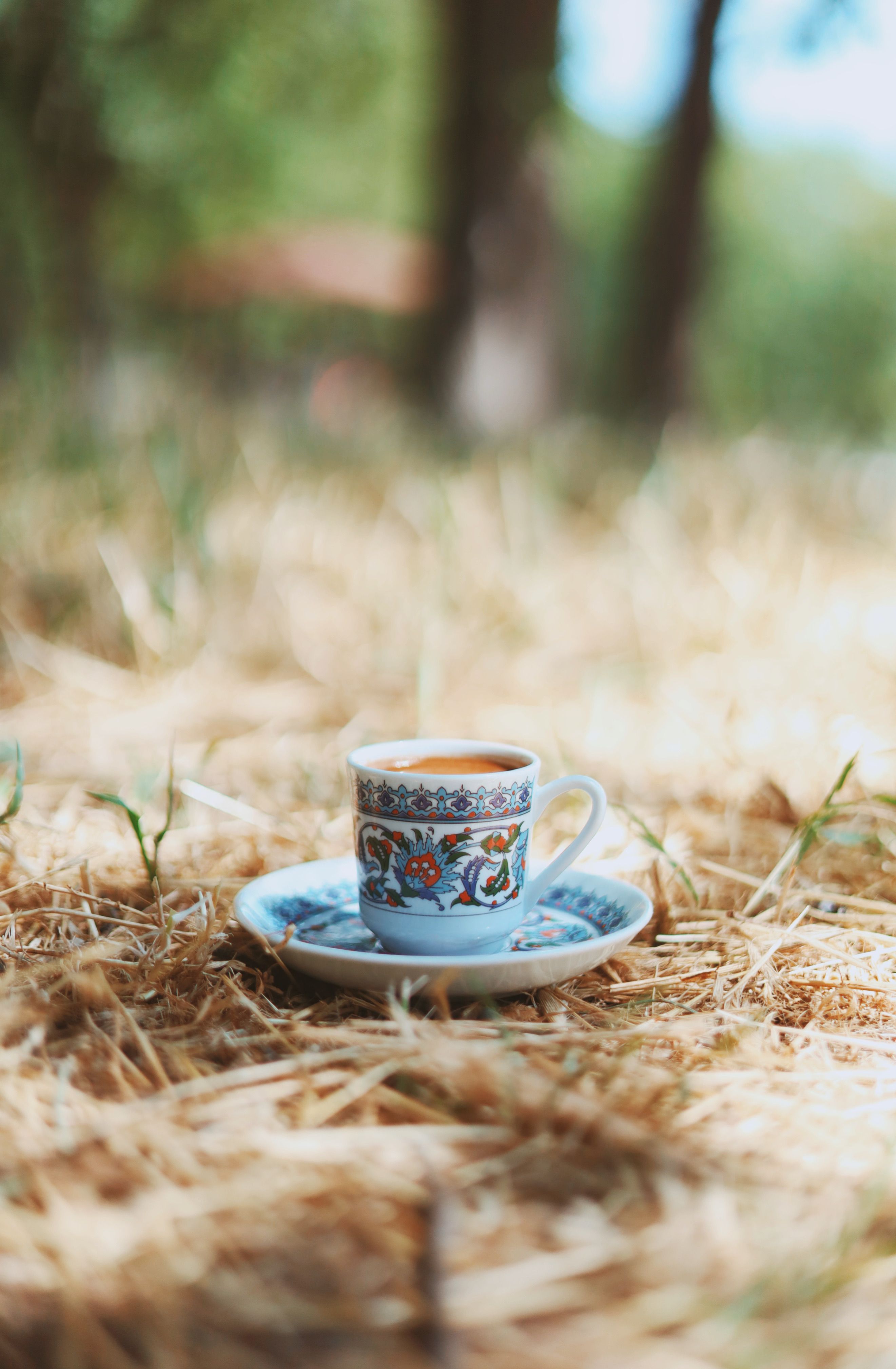 Decorative Teacup on a Summer Meadow · Free Stock Photo