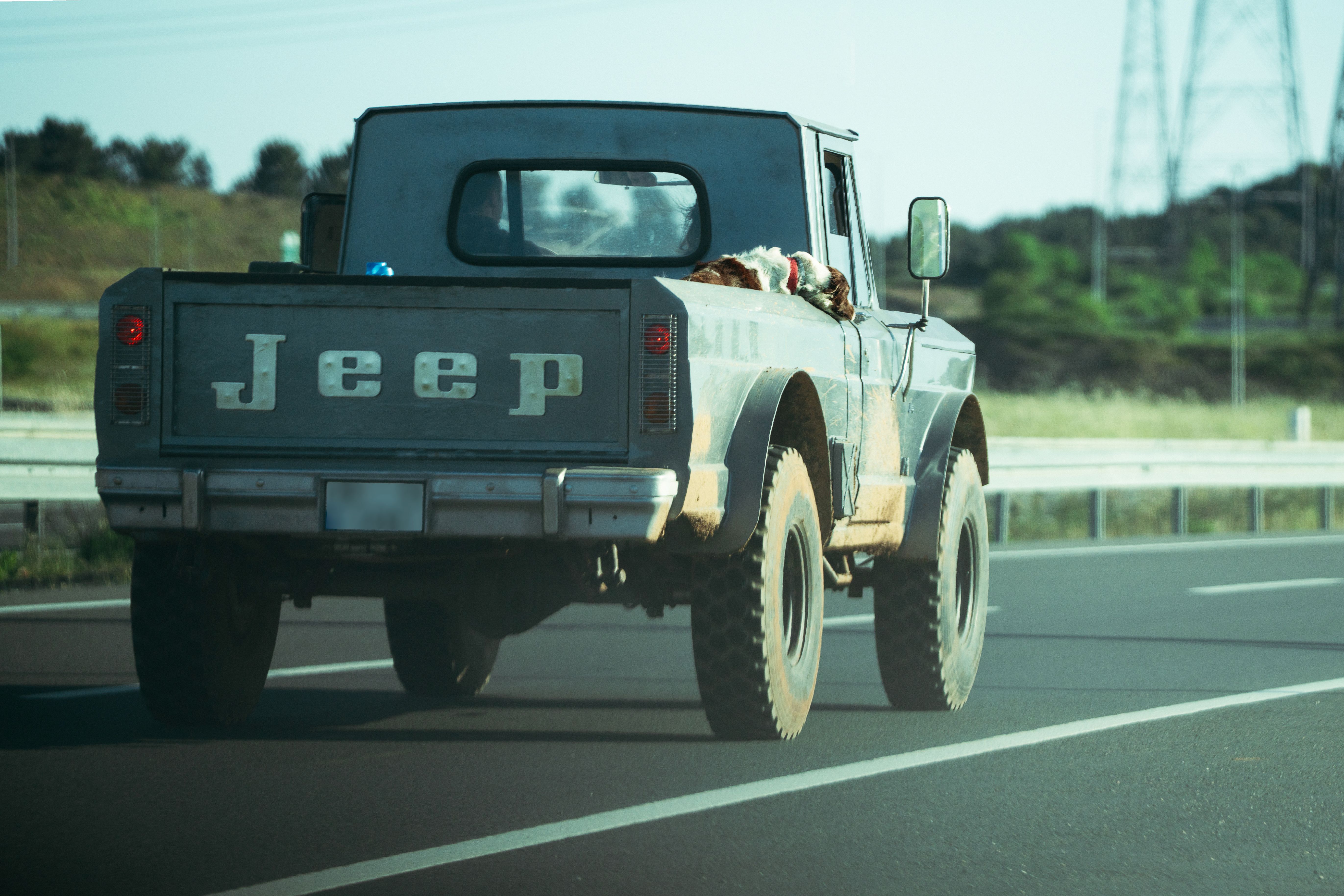 Vintage Jeep Truck on Open Highway · Free Stock Photo