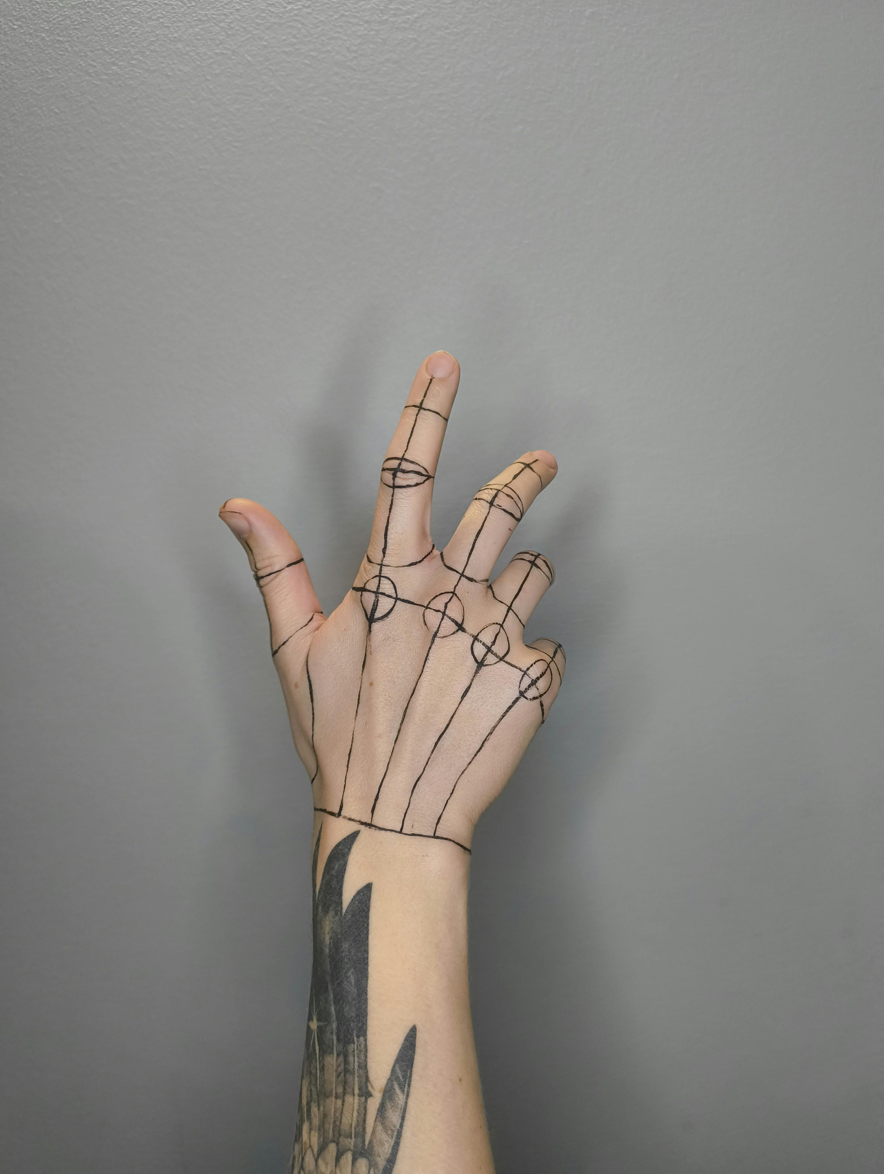 Art Reference Photos, Download The BEST Free Art Reference Stock Photos ...