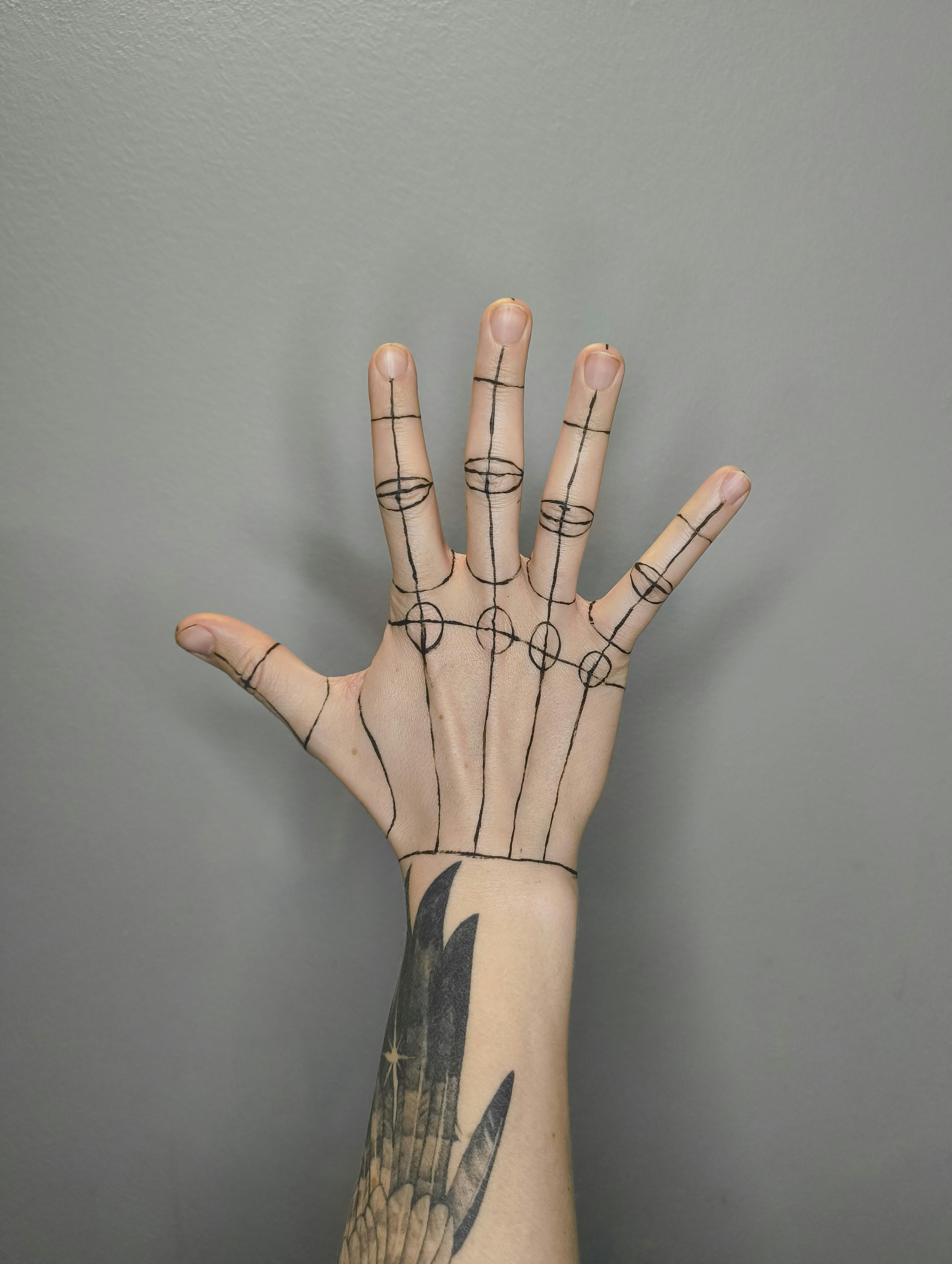 Art Reference Photos, Download The BEST Free Art Reference Stock Photos ...