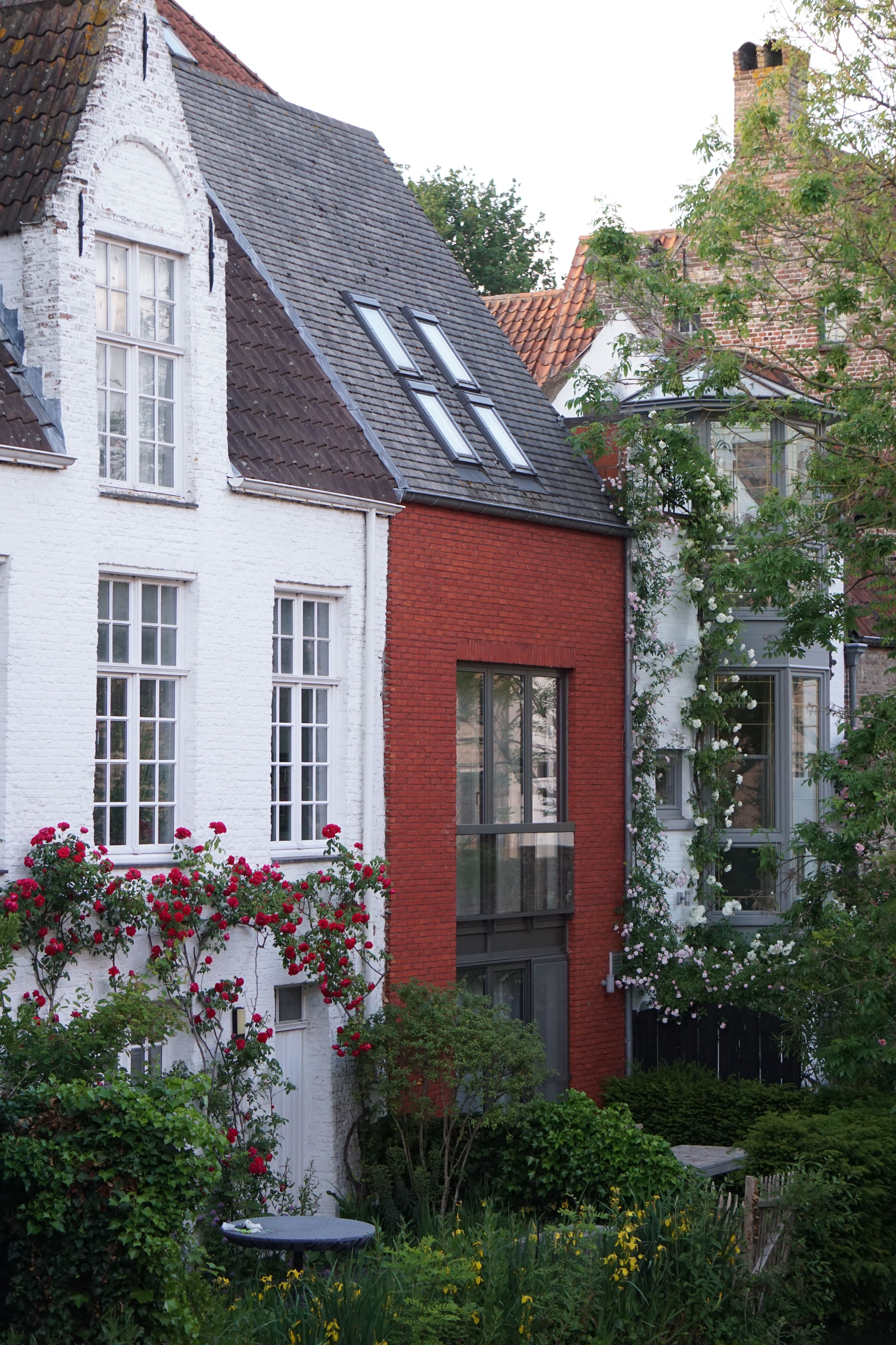 Charming European Houses with Lush Gardens · Free Stock Photo