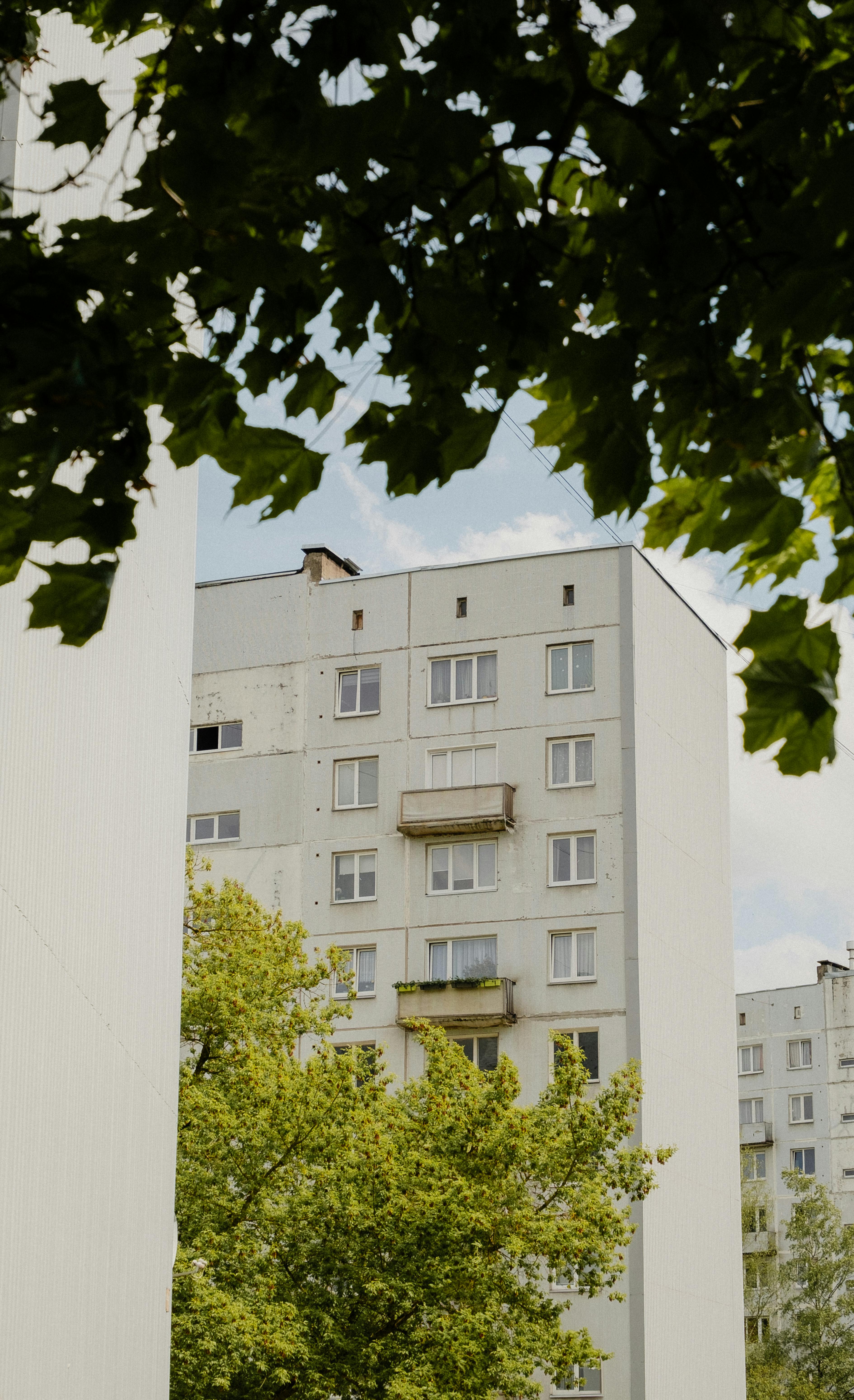 300 Dpi Green Trees Photos, Download The BEST Free 300 Dpi Green Trees ...