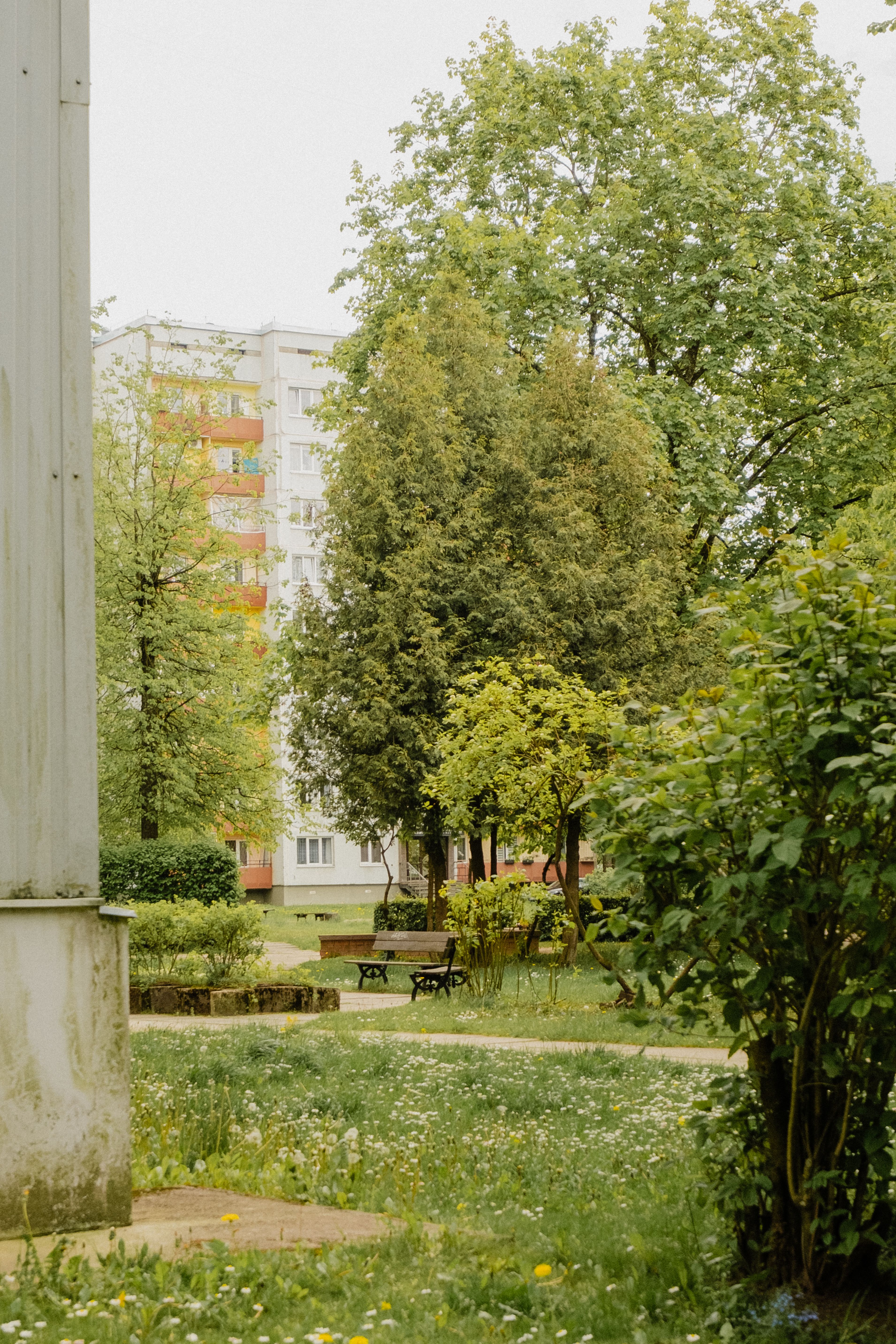 Urban Park with Greenery and Benches · Free Stock Photo