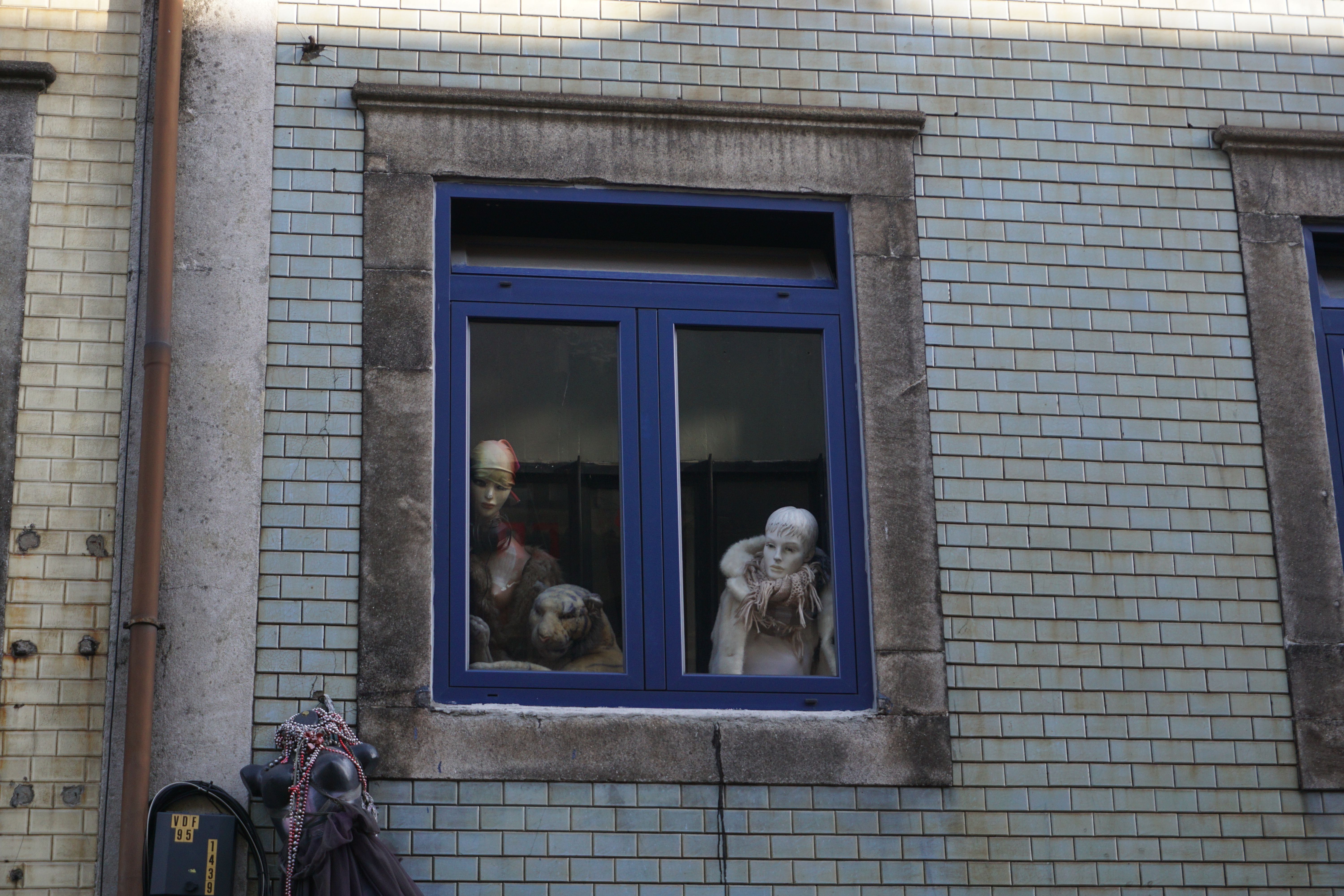 Scary Peeping Photos, Download The BEST Free Scary Peeping Stock Photos ...