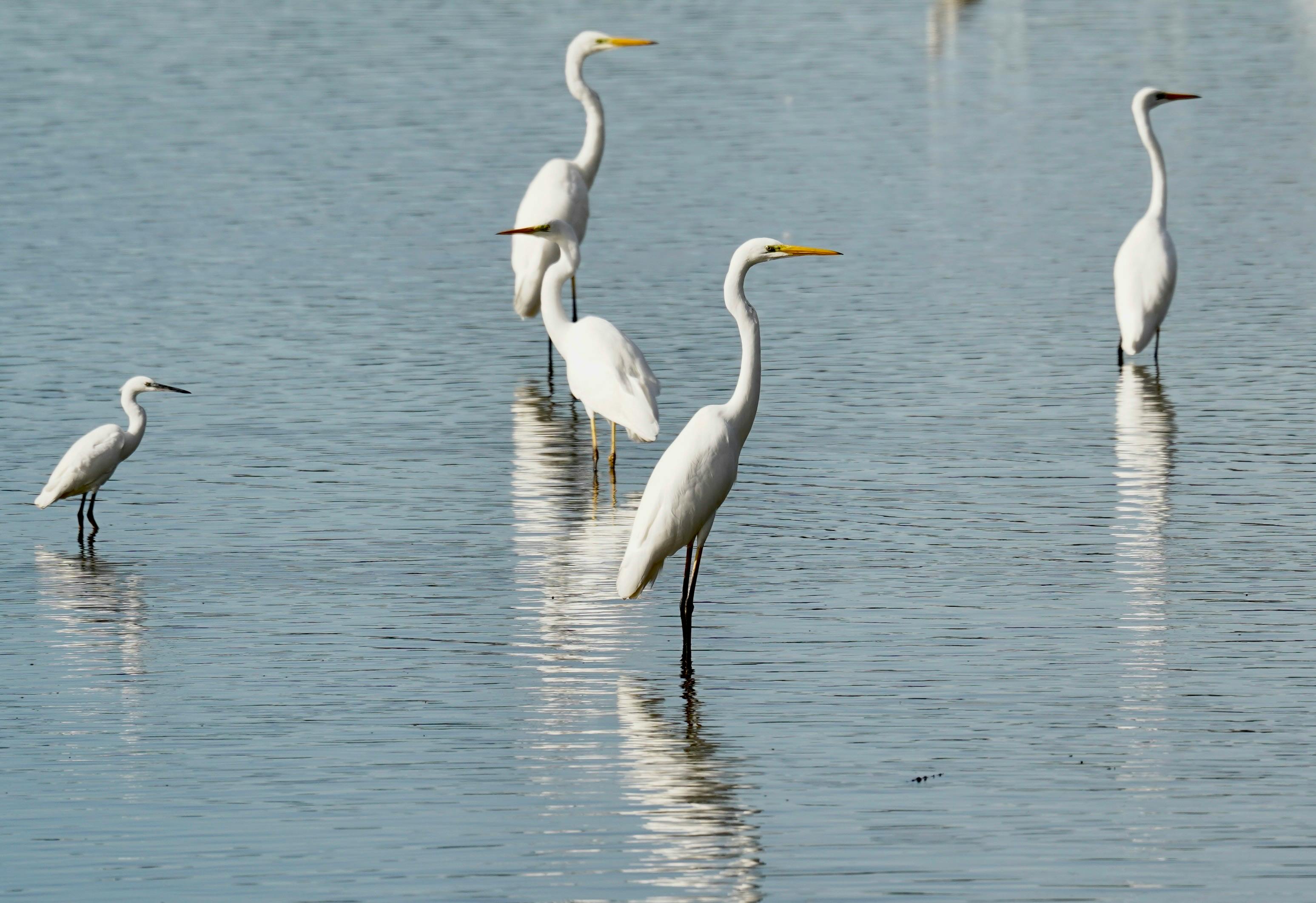 Really+Sus+Anime+Girls+No+Blur Photos, Download The BEST Free Really ...