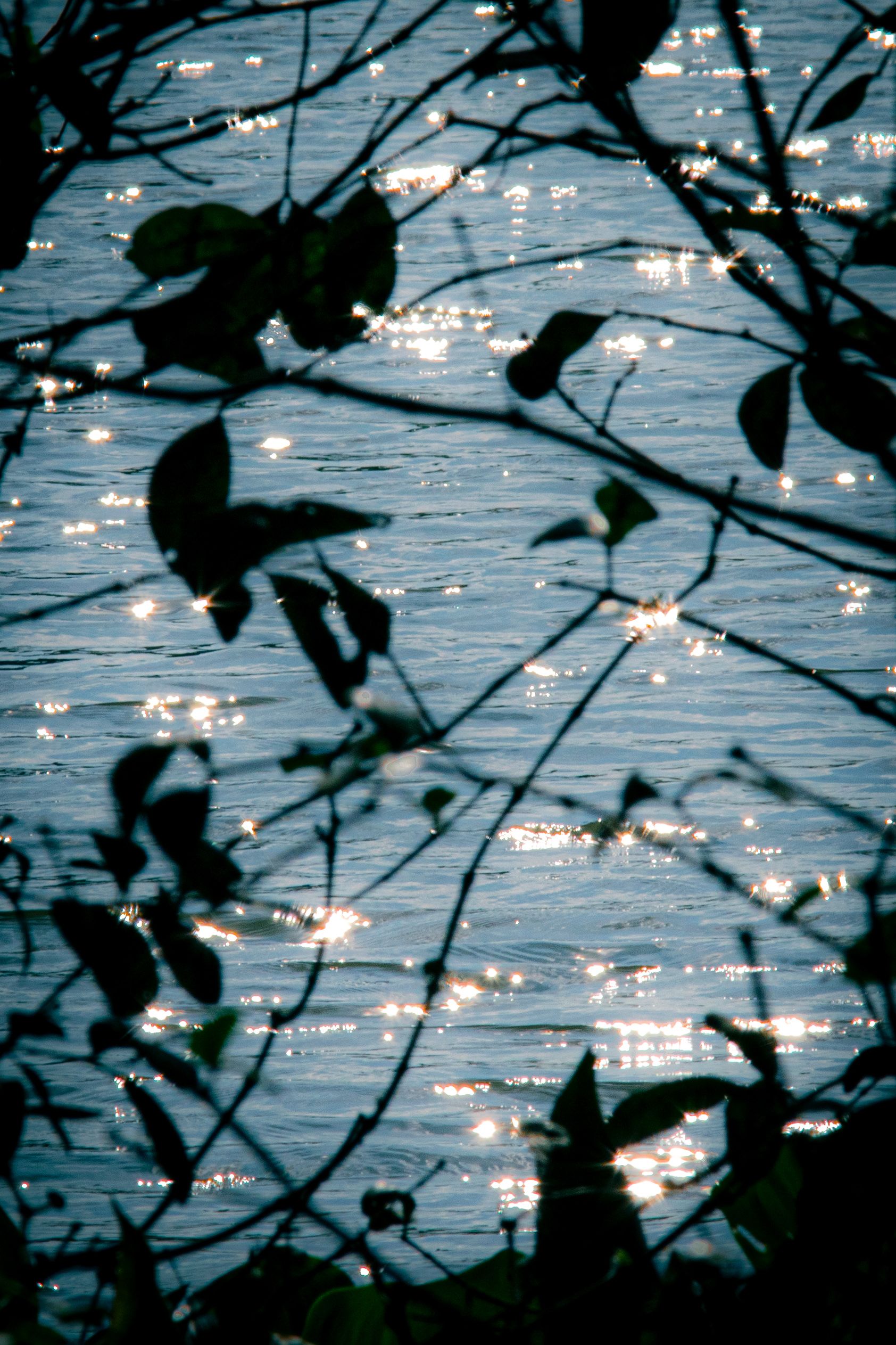 Baldi River Photos, Download The BEST Free Baldi River Stock Photos ...
