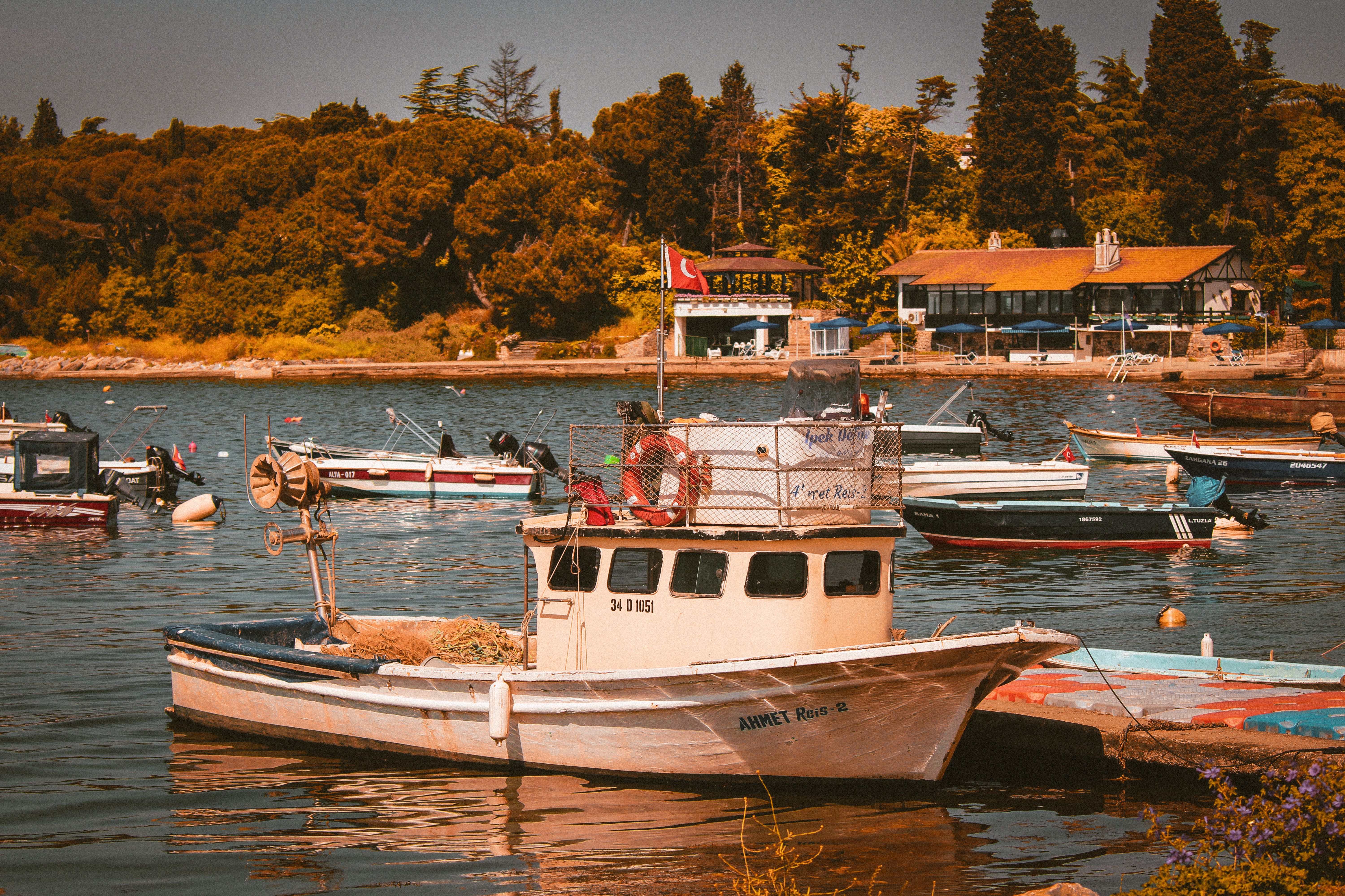 Serene Coastal Scene with Fishing Boats · Free Stock Photo