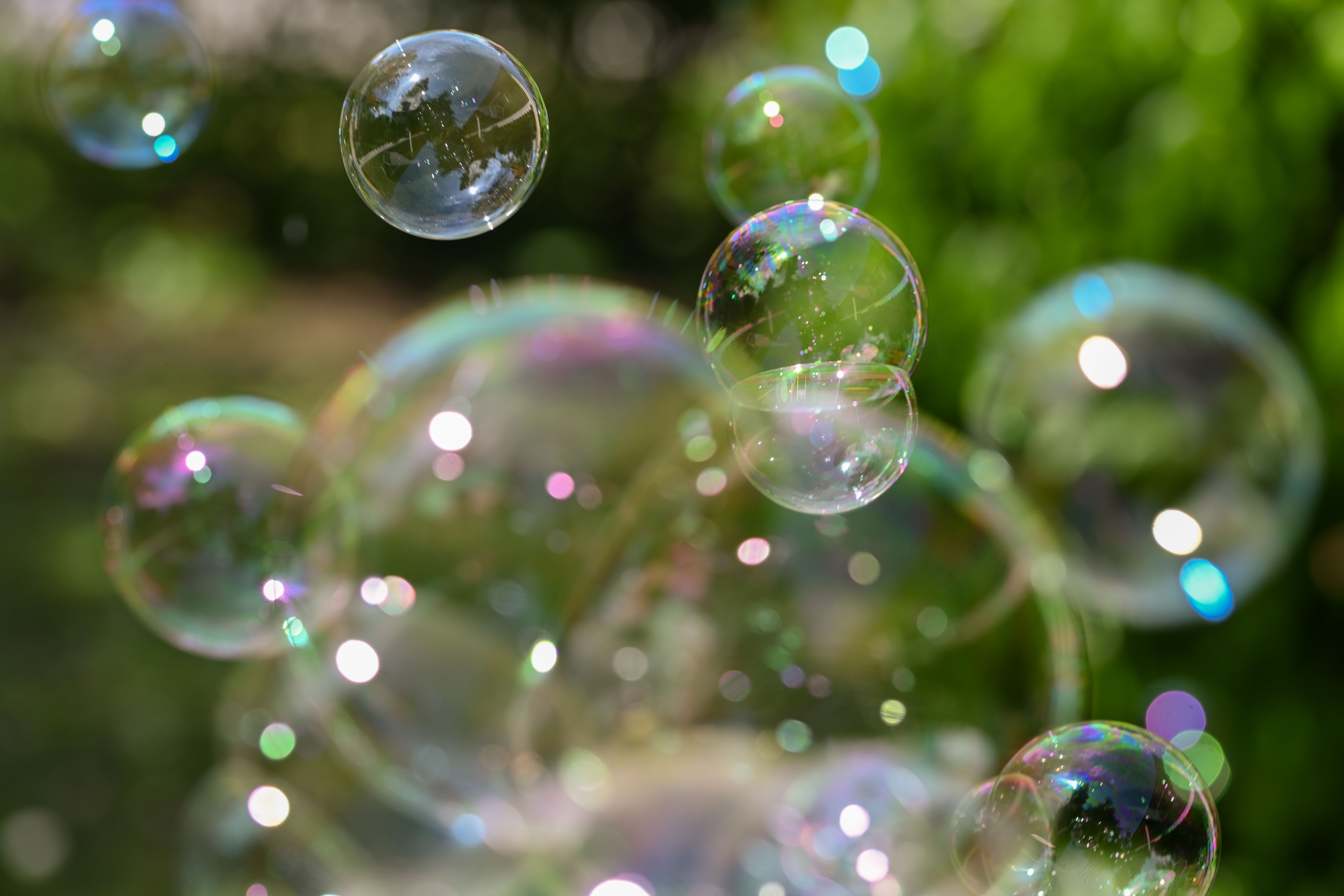 Nature Transparent Background Photos, Download The BEST Free Nature ...