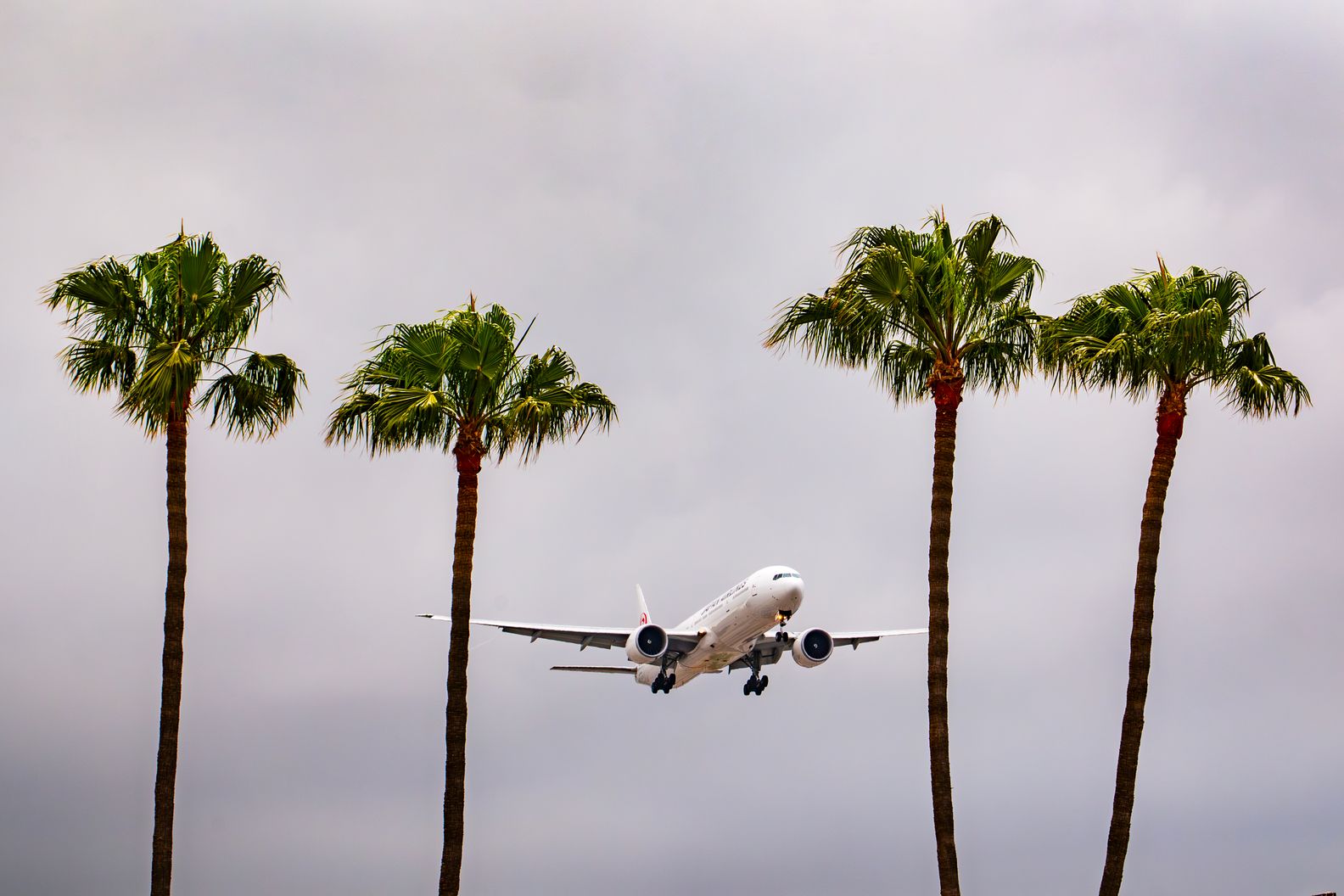 Atlantic Southeast Airlines: Rise, Fall, and What Happened
