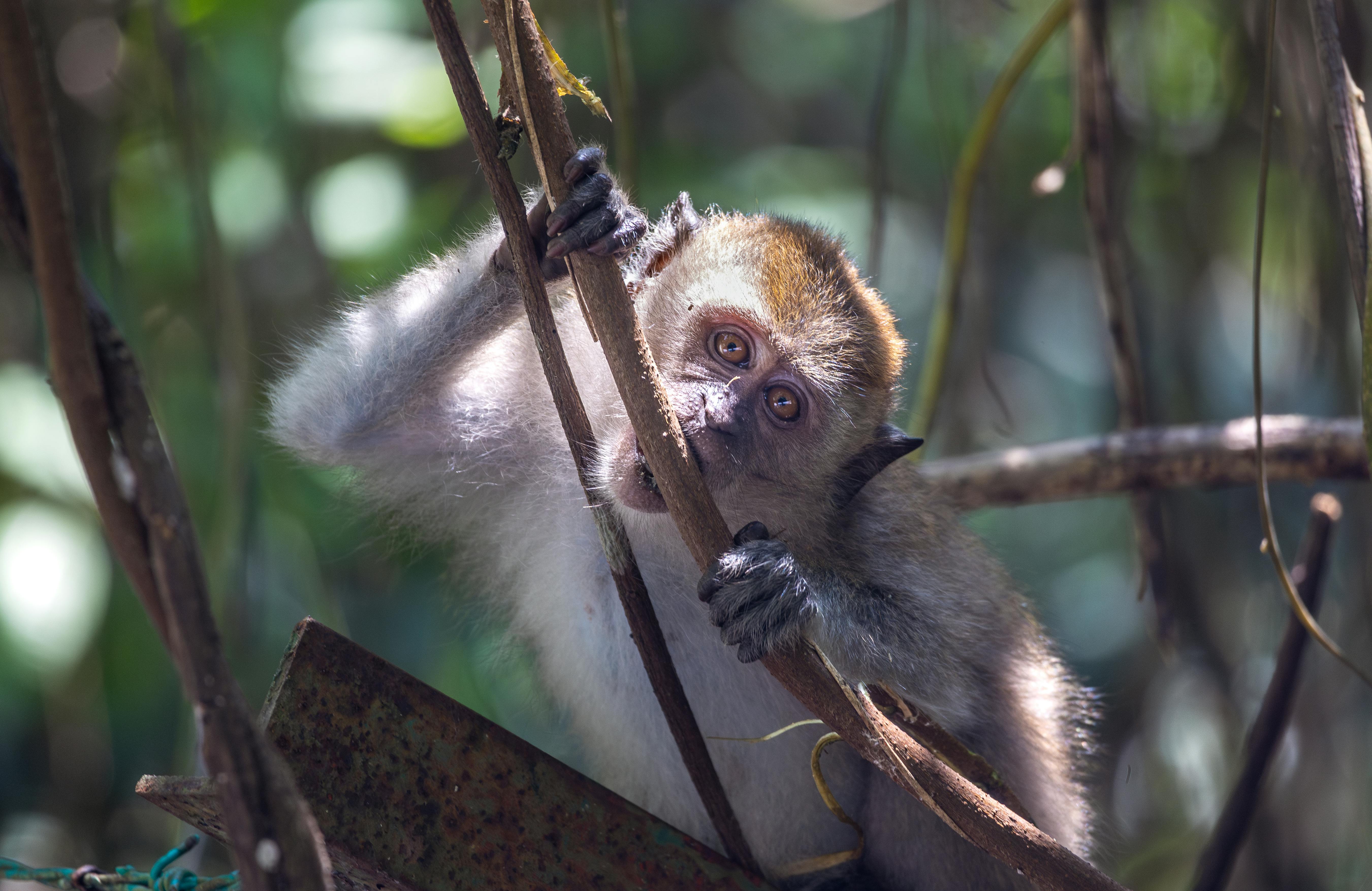 Someone Exhaling With Eyes Closed, Natural Light Photos, Download The ...