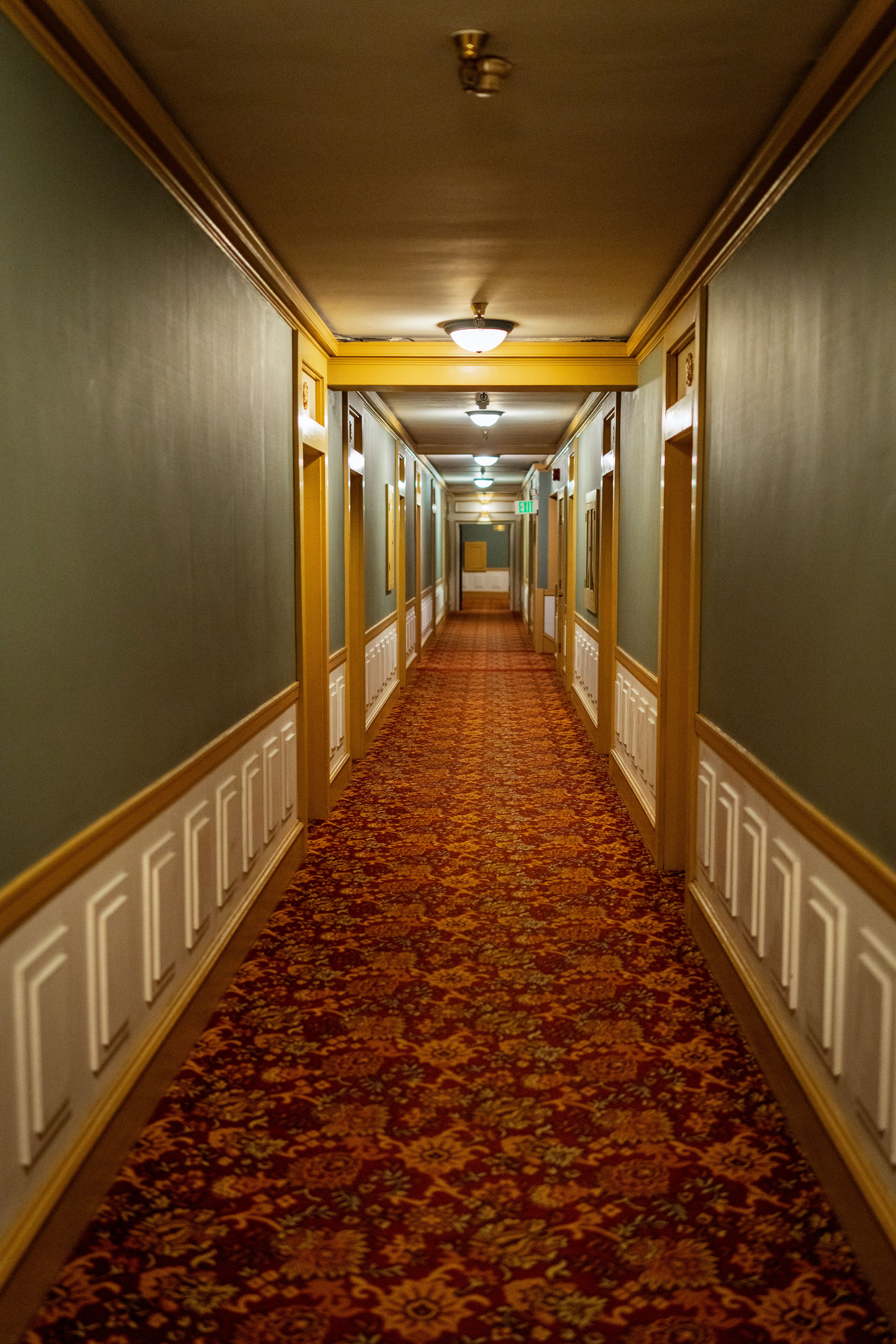 Historic Hotel Hallway with Vintage Carpet Design · Free Stock Photo