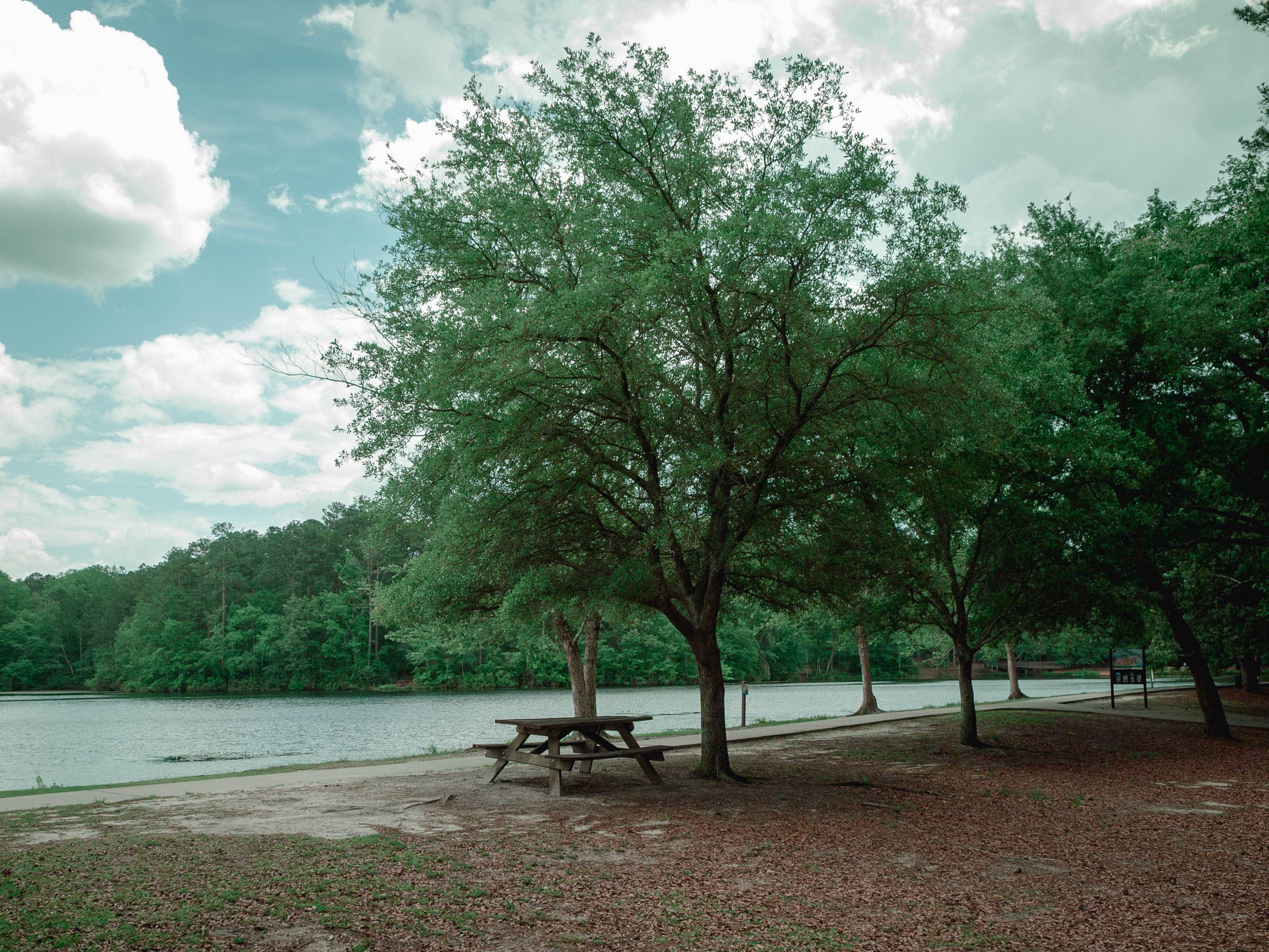 Tranquil Spring Day at Lake in Columbia · Free Stock Photo