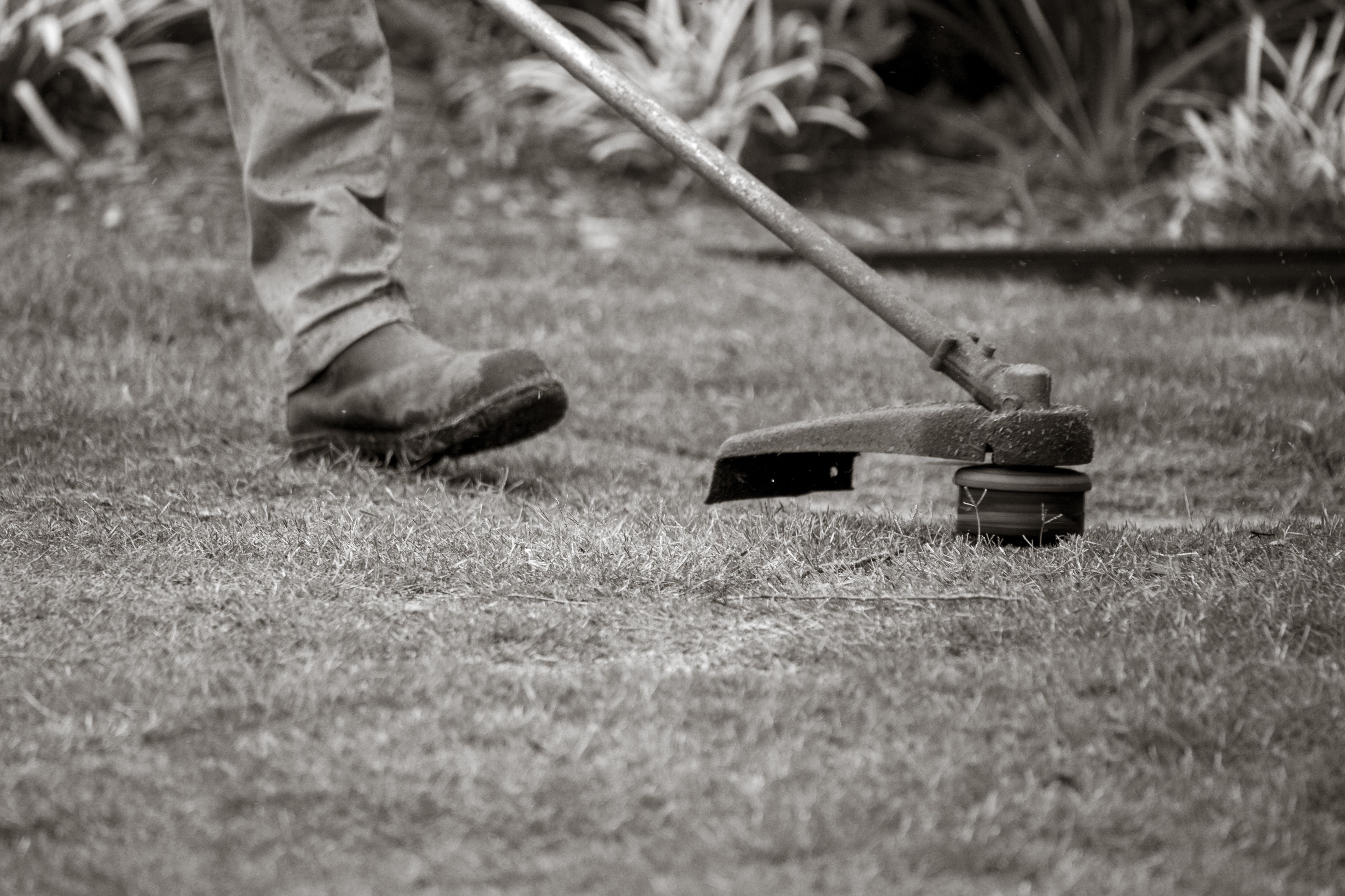 Lawn Maintenance Tools Photos, Download The BEST Free Lawn Maintenance ...