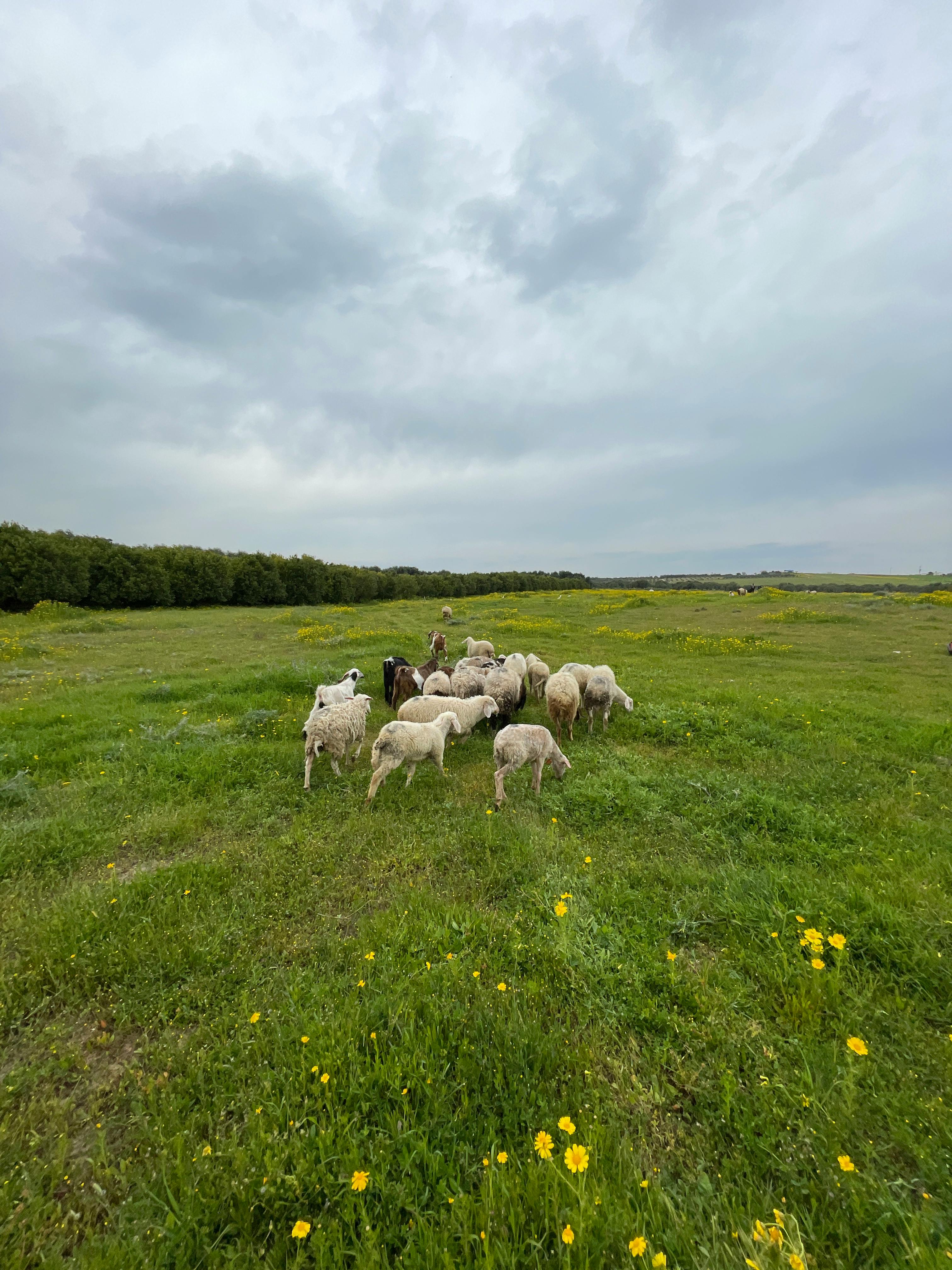 Open Source Photos, Download The BEST Free Open Source Stock Photos ...