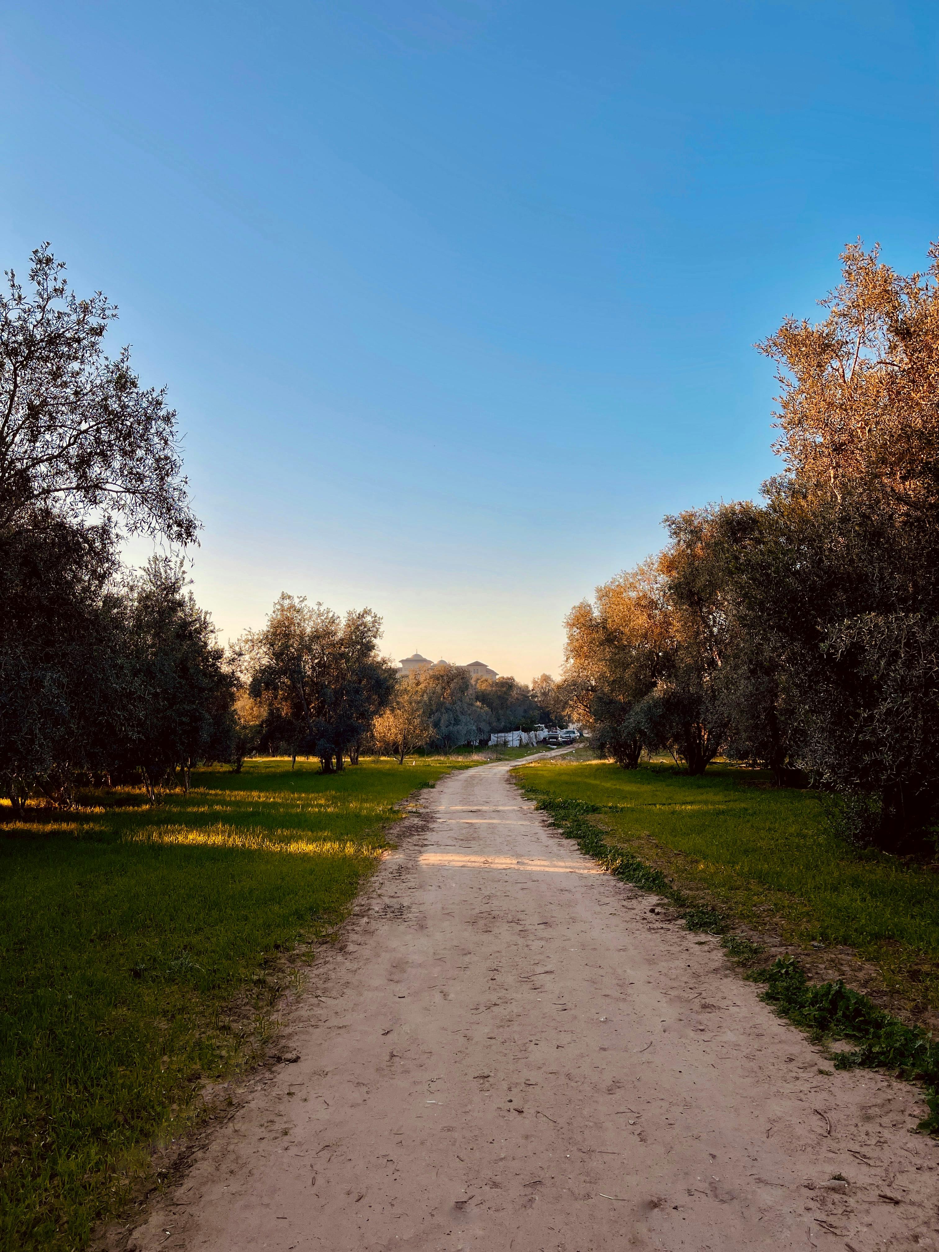 Spring And Summer Photos, Download The BEST Free Spring And Summer ...