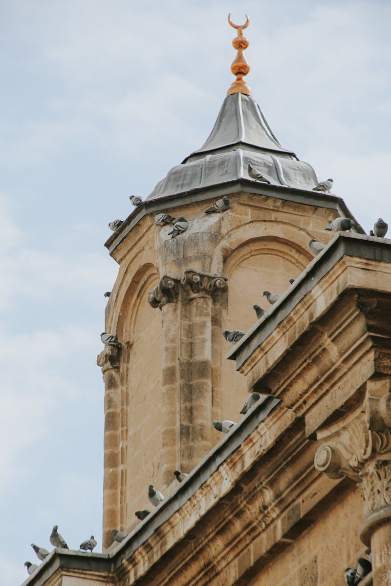 Minaret Photos, Download The BEST Free Minaret Stock Photos & HD Images